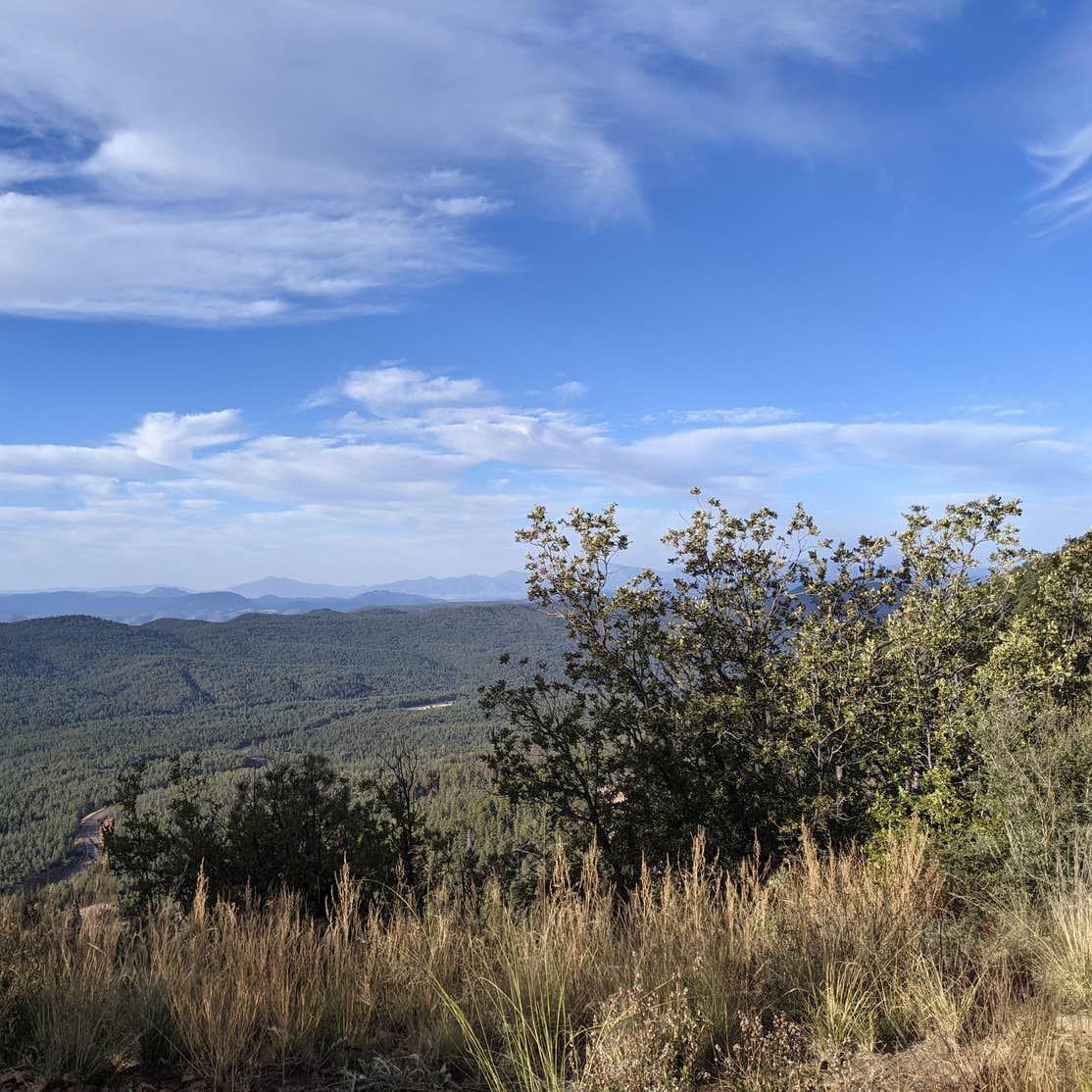Carr Lake Campground on Forest Road 9350 | Kohls Ranch, AZ