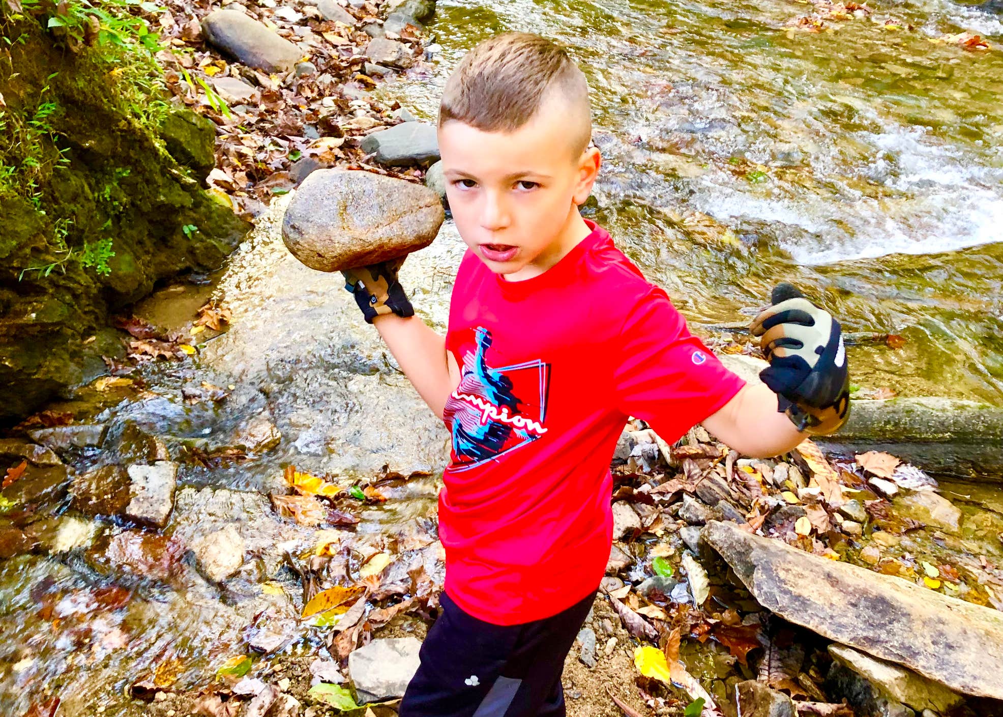 Catawba Falls Campground Camping | The Dyrt