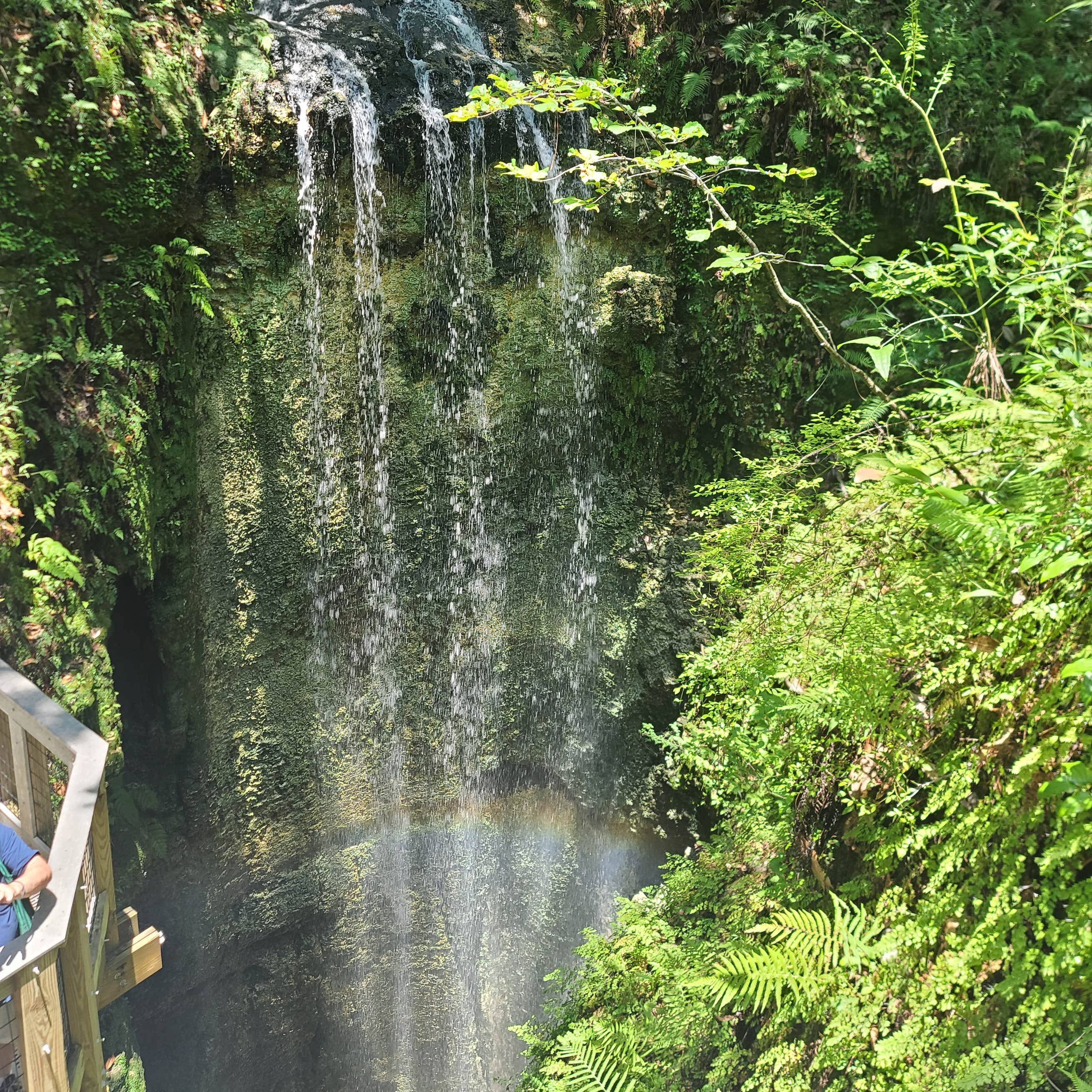 Falling Waters State Park Campground | Chipley, Florida