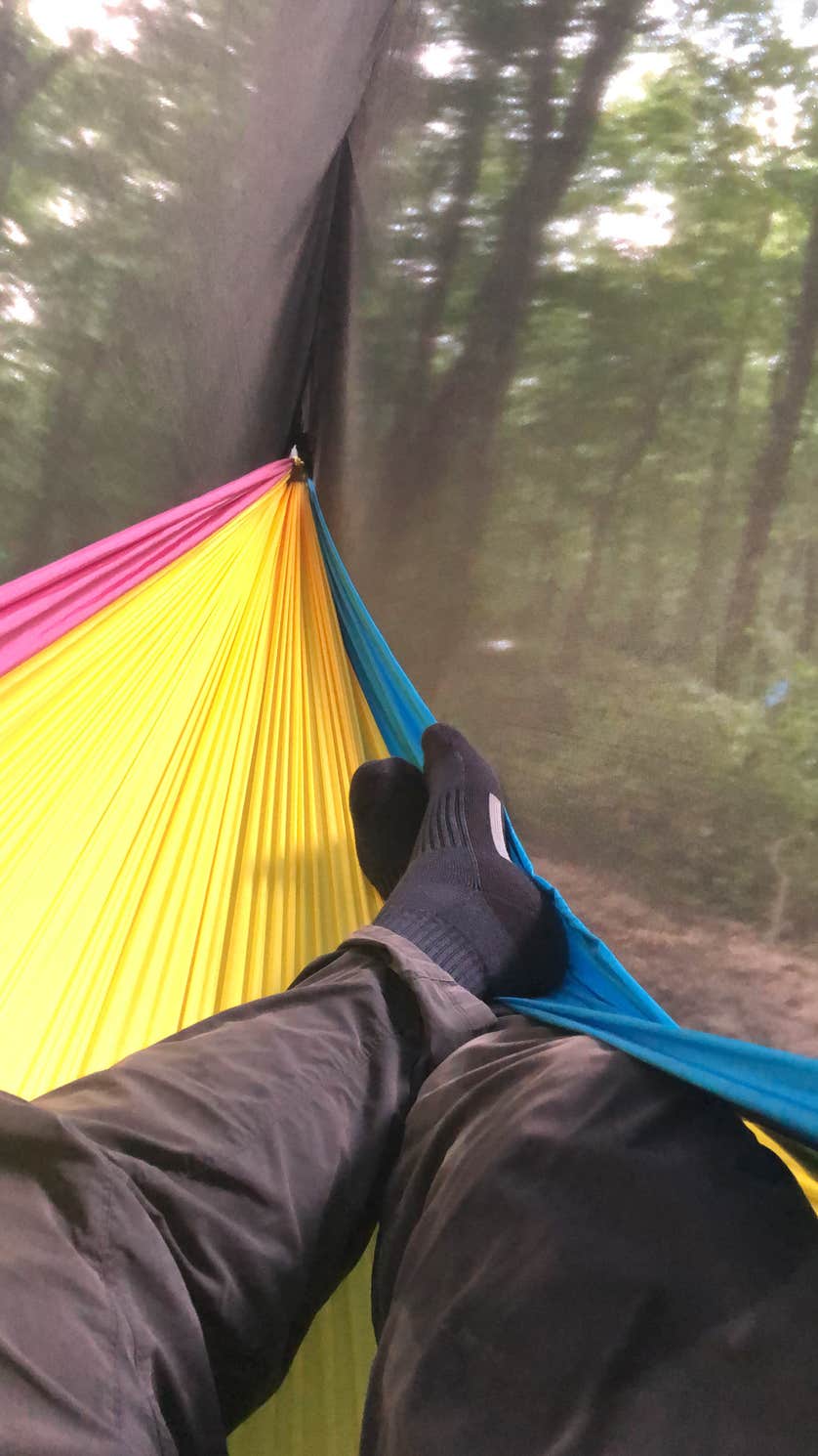 Brighton Recreation Area Camping | The Dyrt