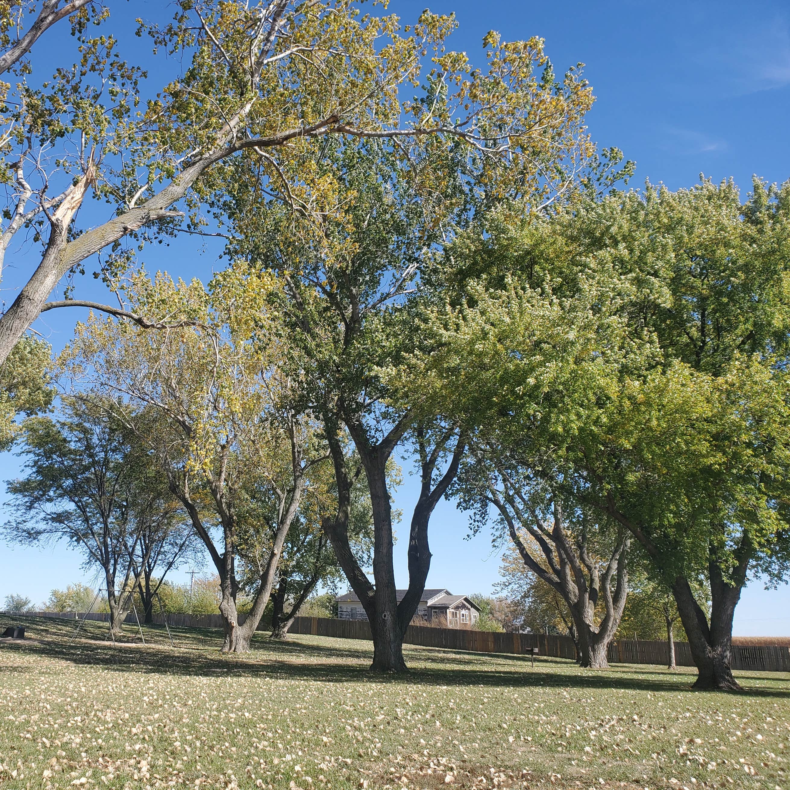 Prairie Oasis Campground & Cabins | Henderson, NE