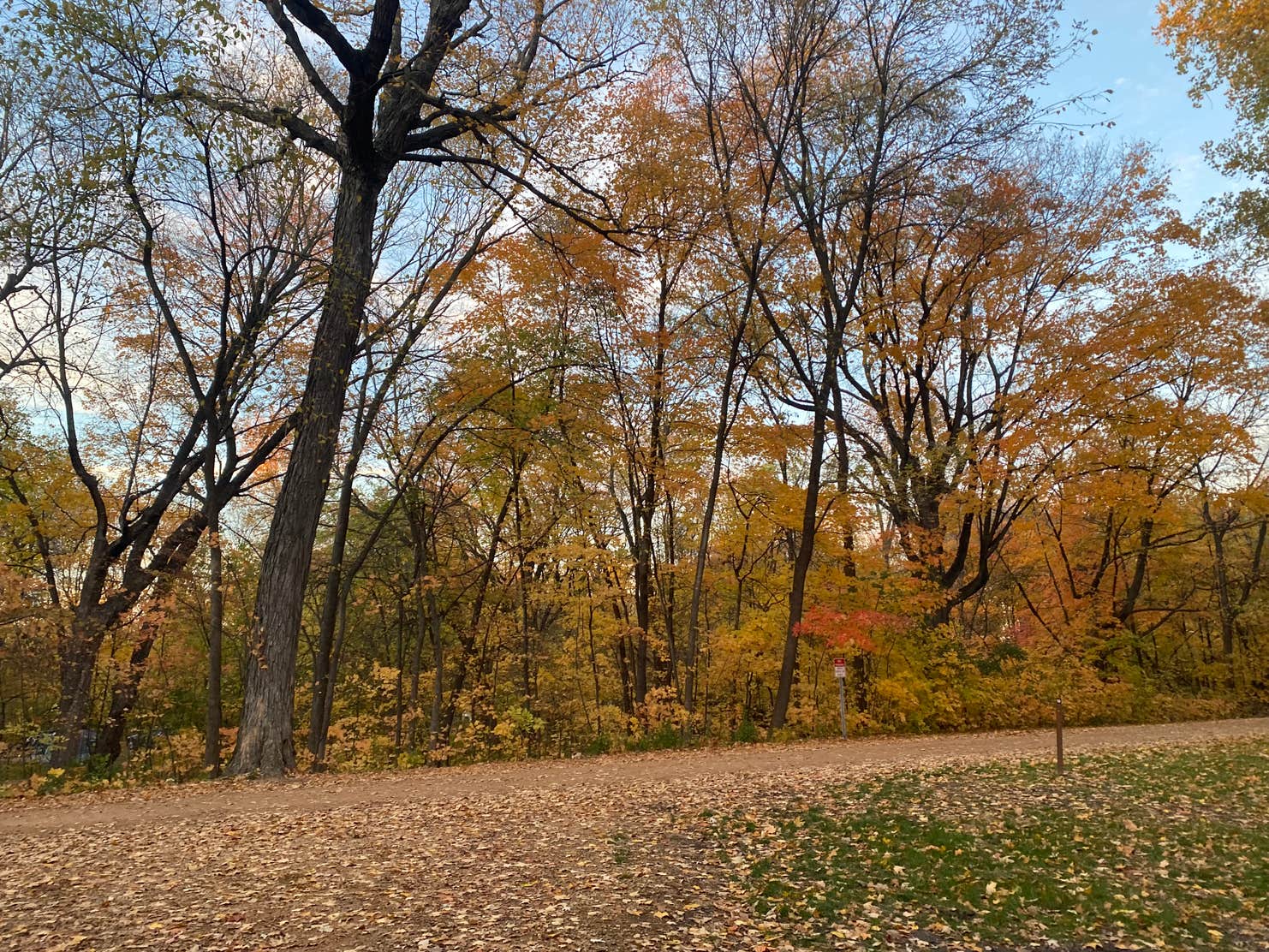 Lake Auburn Campground Camping | The Dyrt