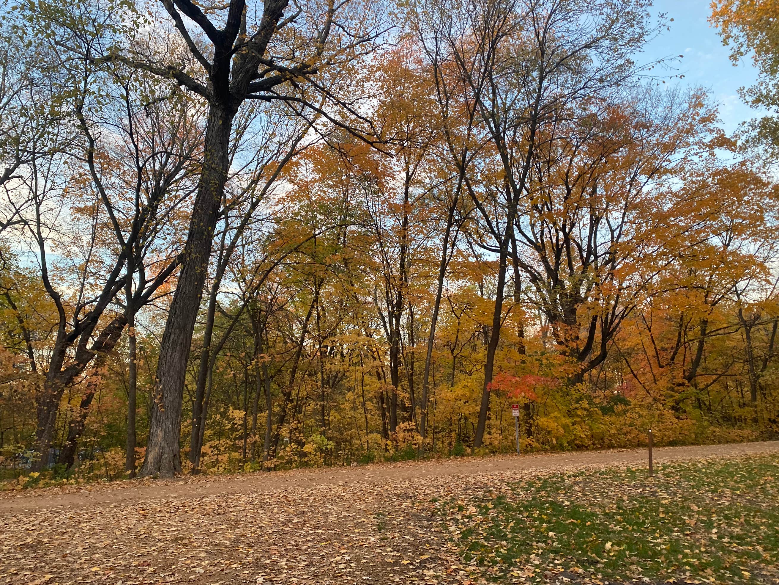 Lake Auburn Campground Camping | The Dyrt