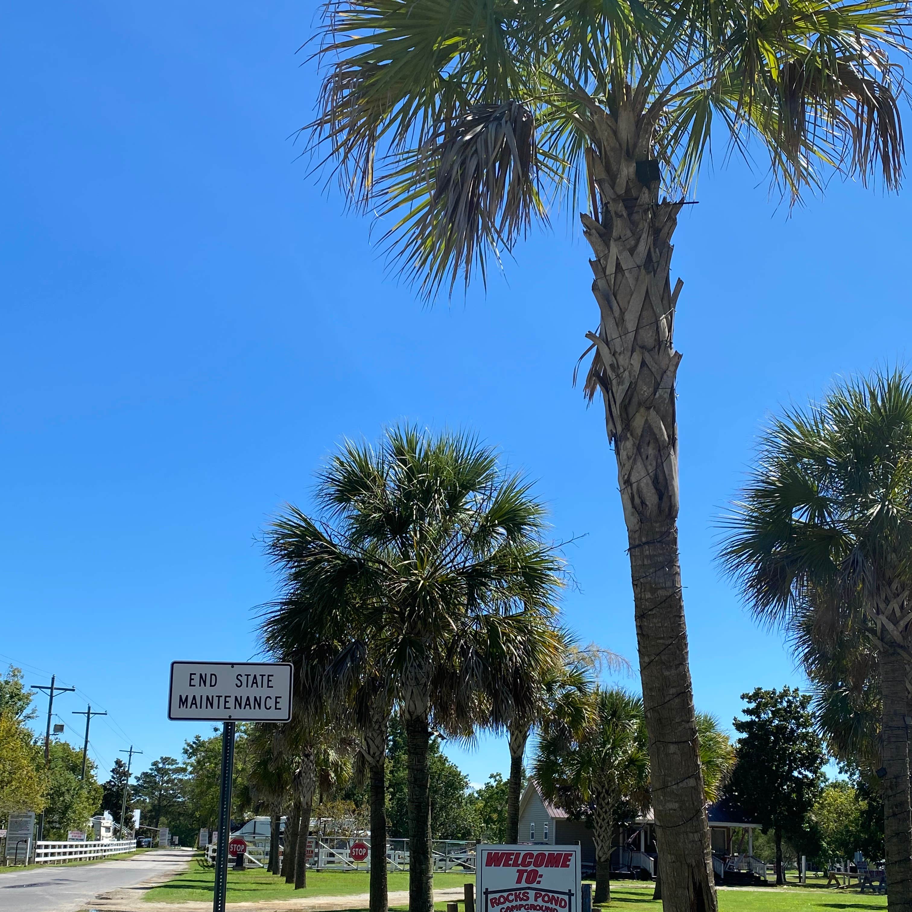 Rocks Pond Campground & Marina | Eutawville, South Carolina