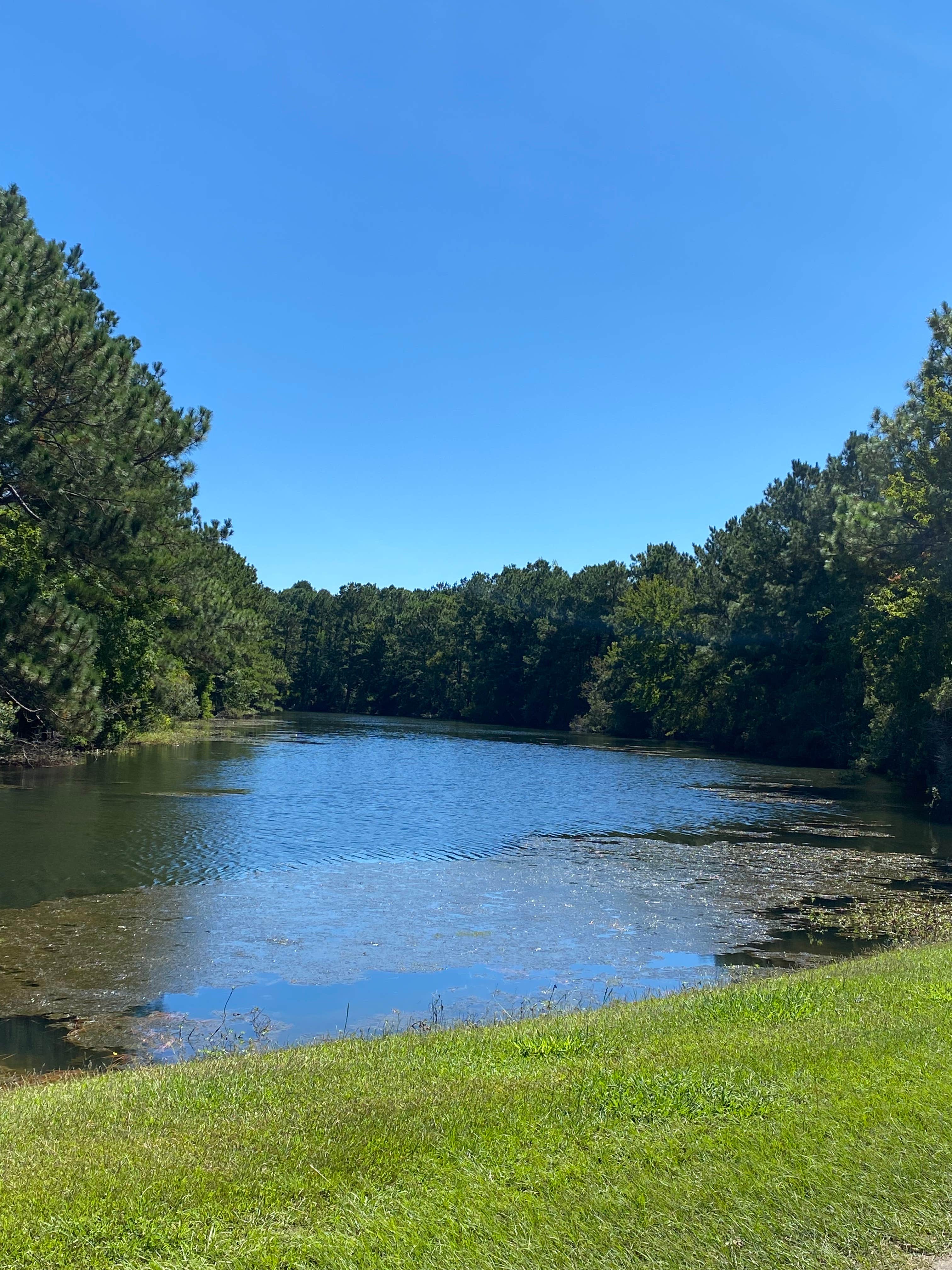 Rocks Pond Campground & Marina | Eutawville, SC