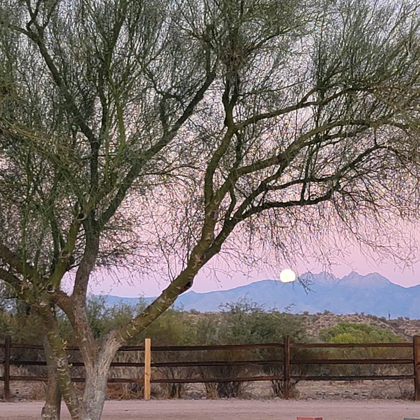 Eagle View RV Resort at Fort Mcdowell | Fort Mcdowell, Arizona
