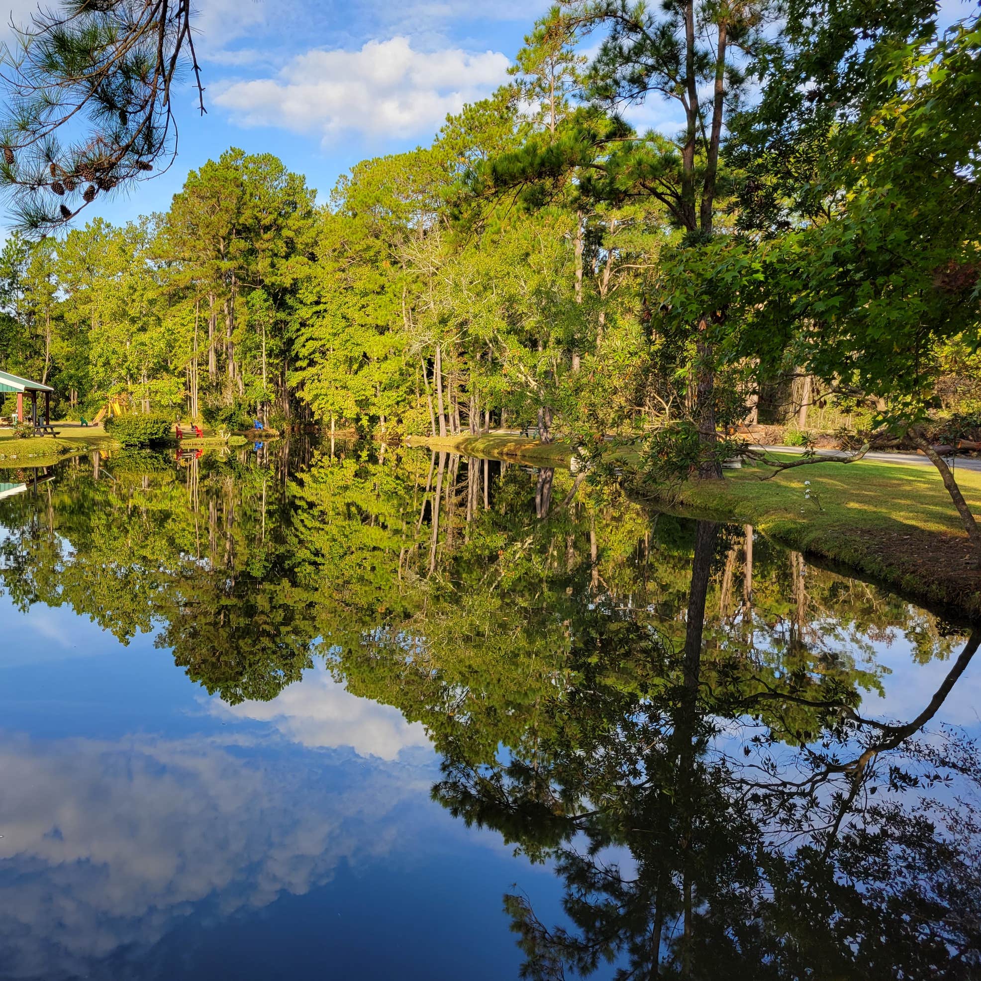 Lake Aire RV Park Camping | The Dyrt