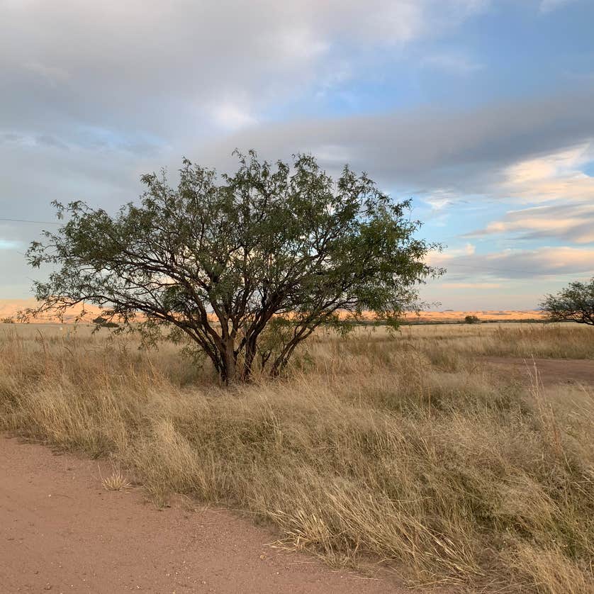 Maternity Well Dispersed Campsite | Sonoita, Arizona