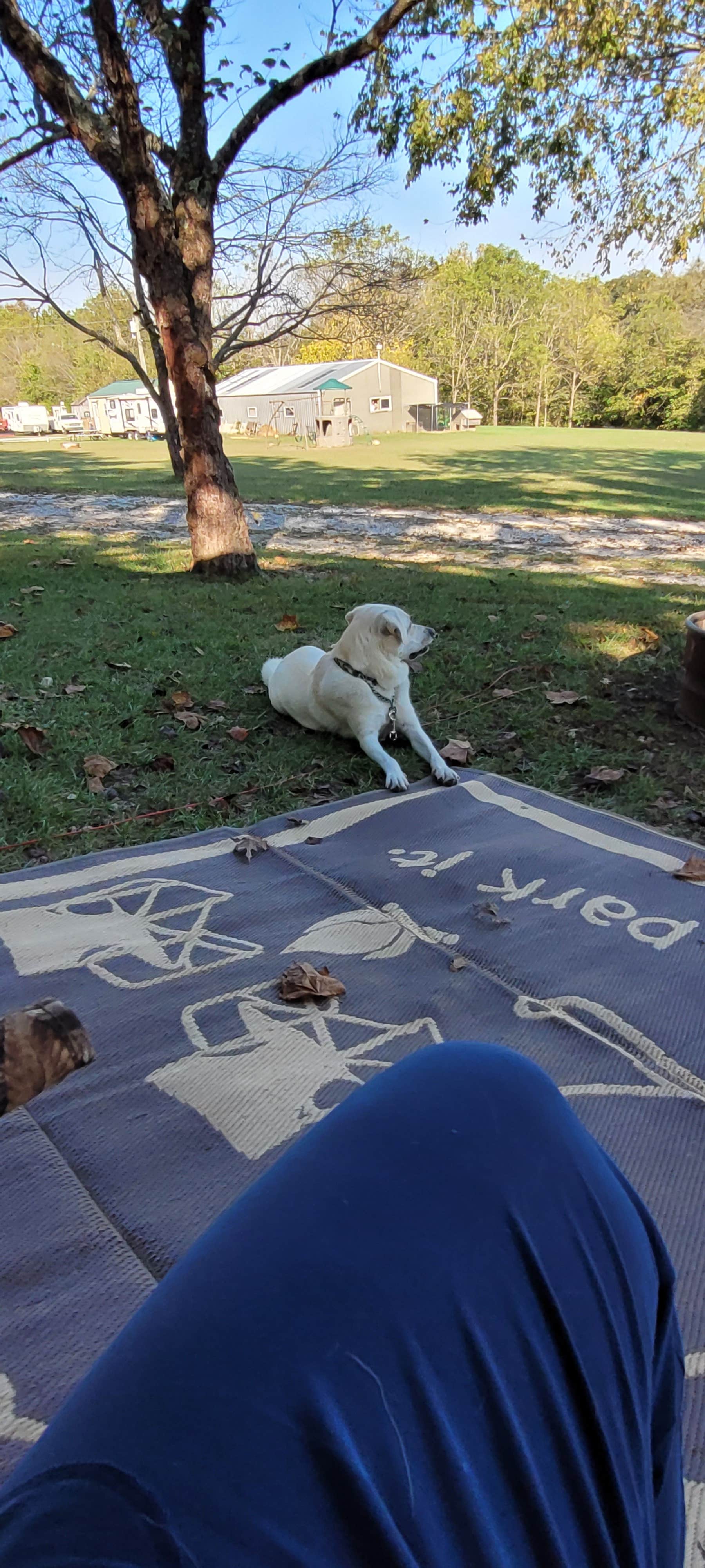 Laura Ingalls Wilder RV Park | Mansfield, MO