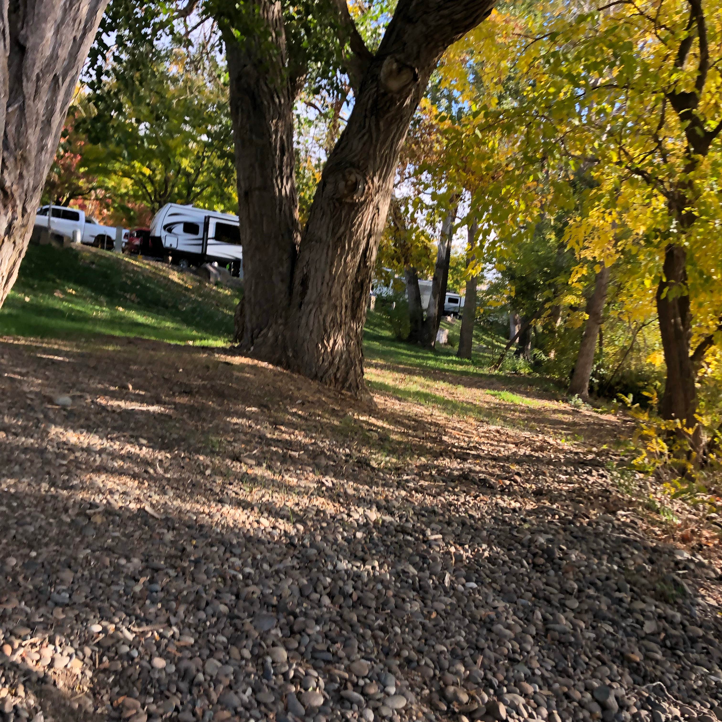 Peach Beach RV Park on the Columbia | Cheatham Lock and Dam, Oregon