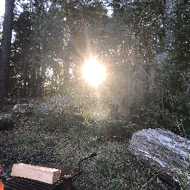 Goat Island Camping | Ninety Six, South Carolina