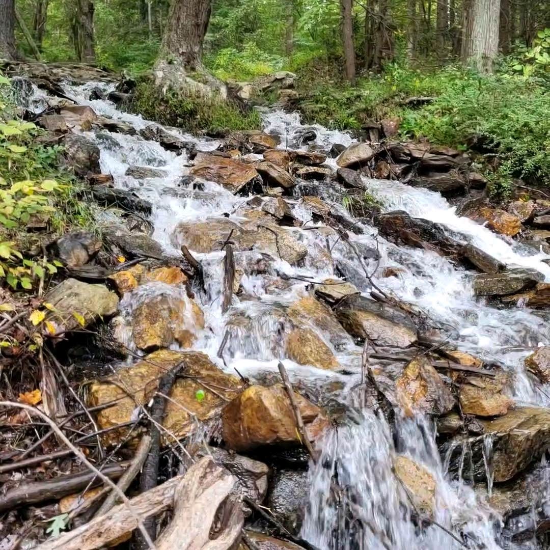 Big Flat Parking Area Campsites — Michaux State Forest | Arendtsville ...