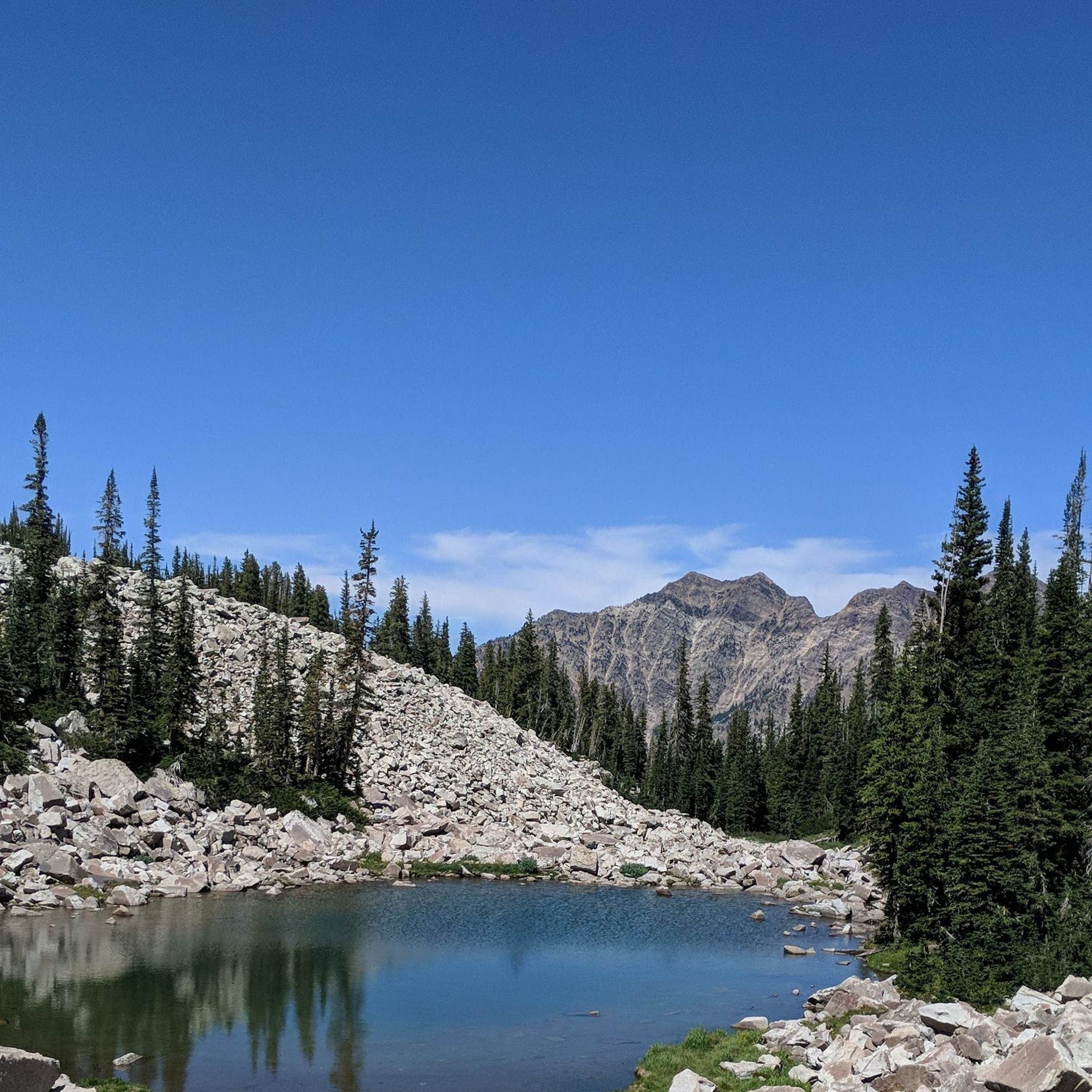 Red Pine Lake Camping | Alta, Utah