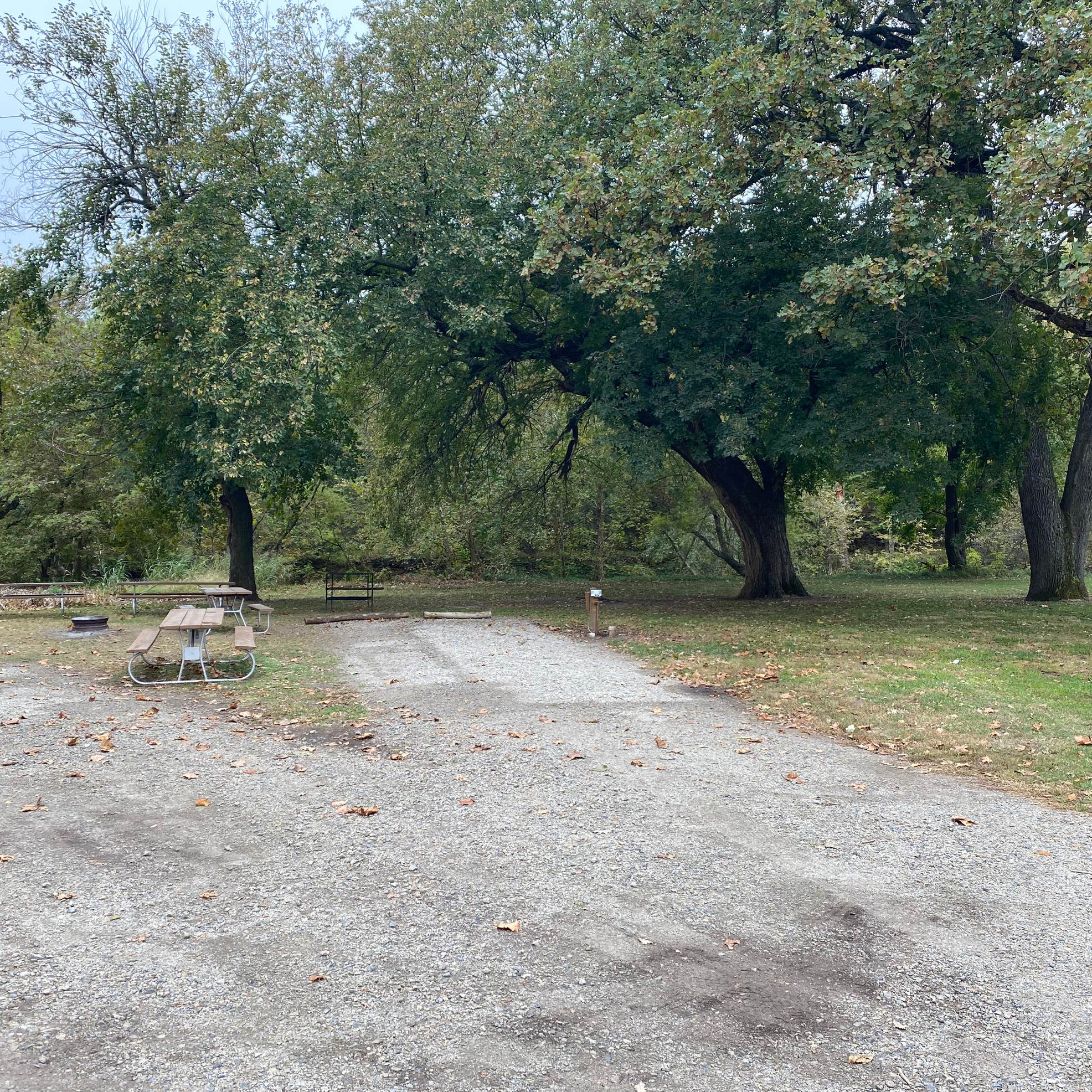 Sycamore Springs Whitetail Ranch RV Park | Falls City, Nebraska