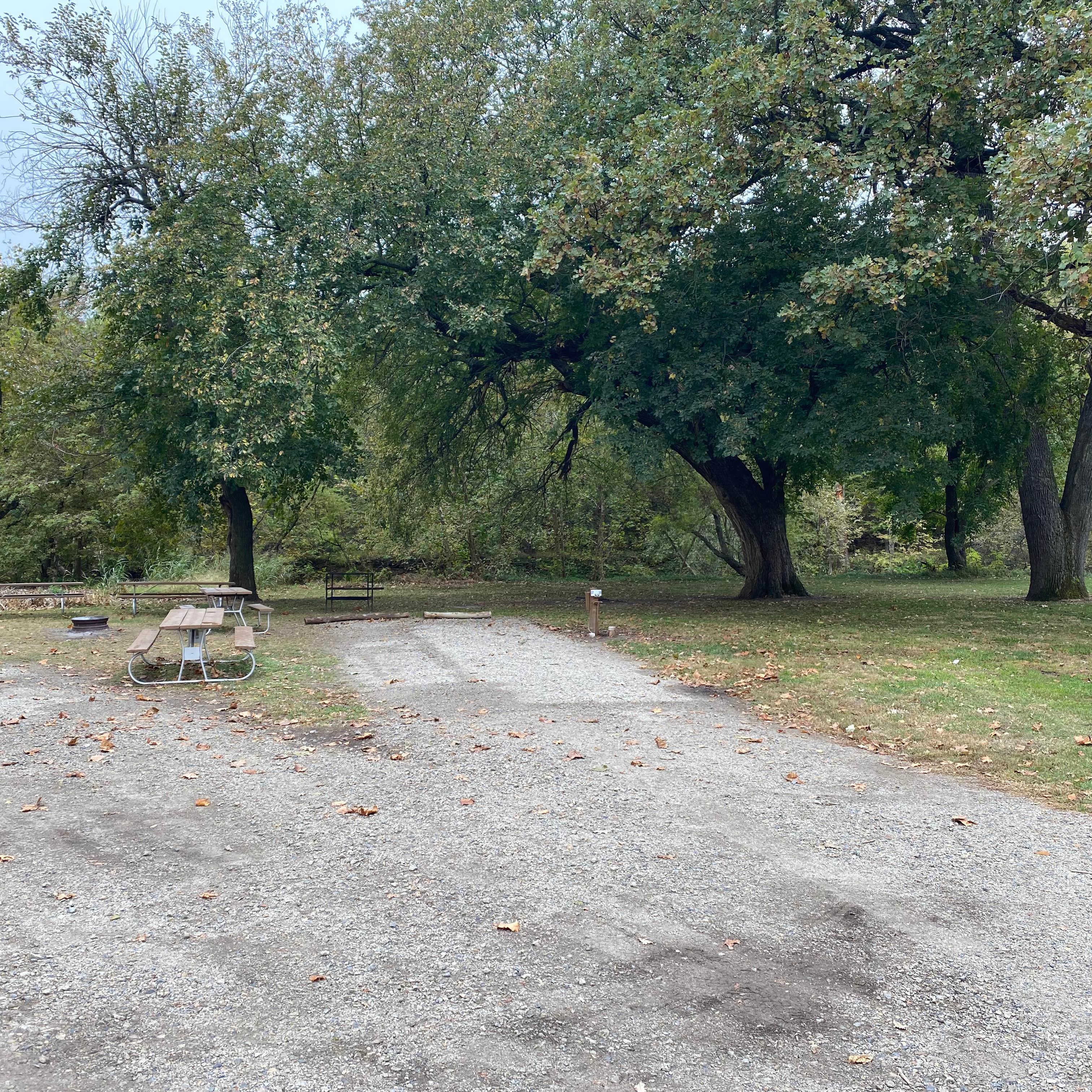 Sycamore Springs Whitetail Ranch RV Park | Falls City, Nebraska