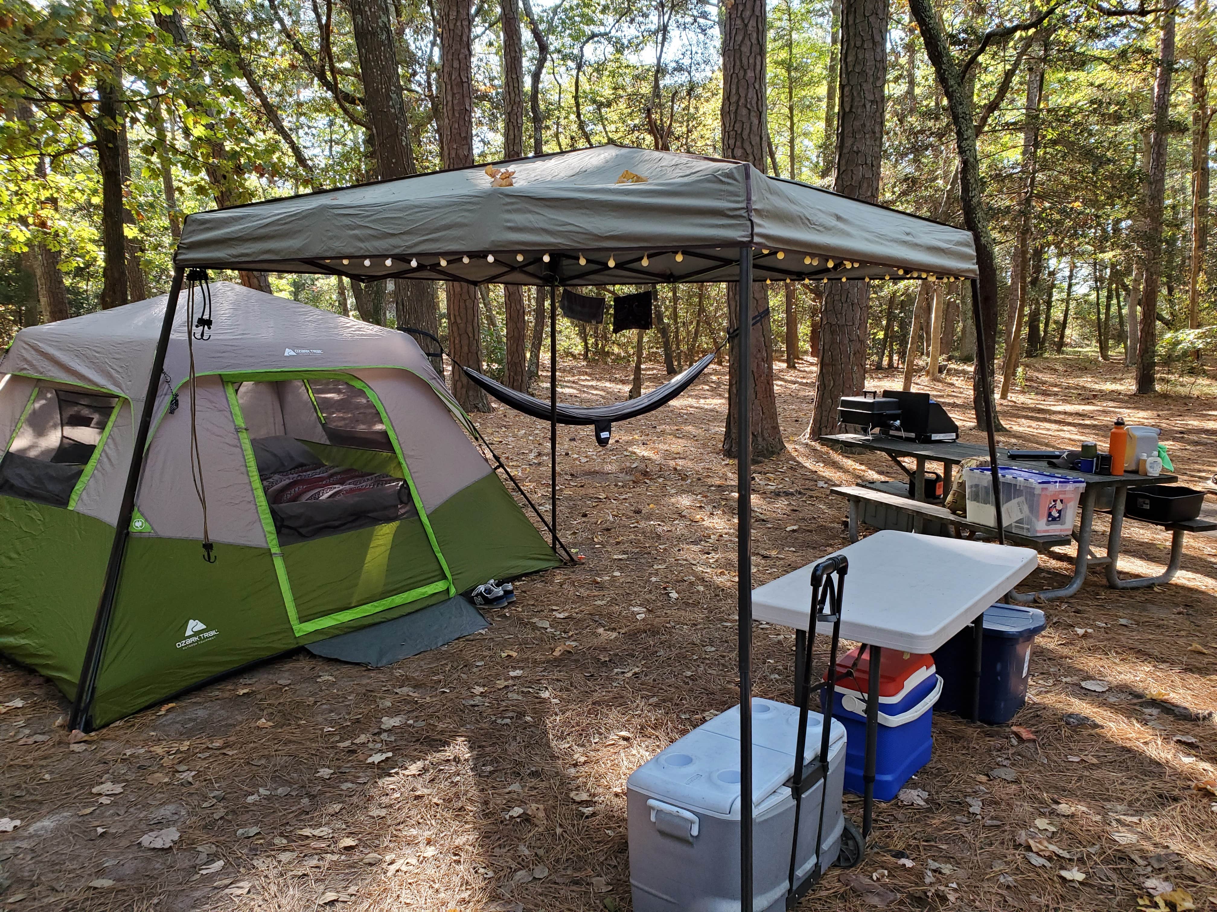 Kiptopeke State Park Camping | The Dyrt
