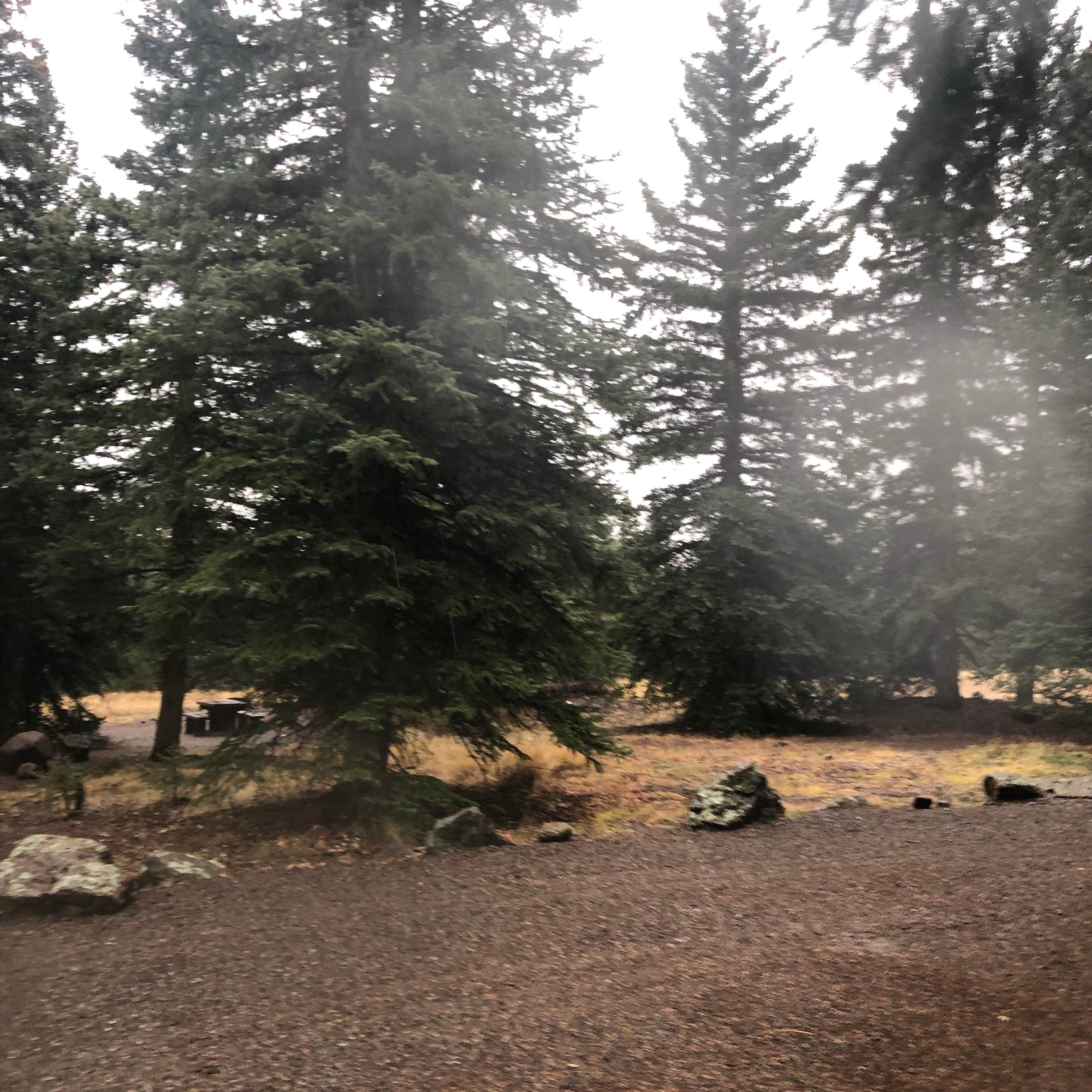 Thirty Mile Camping | Creede, CO