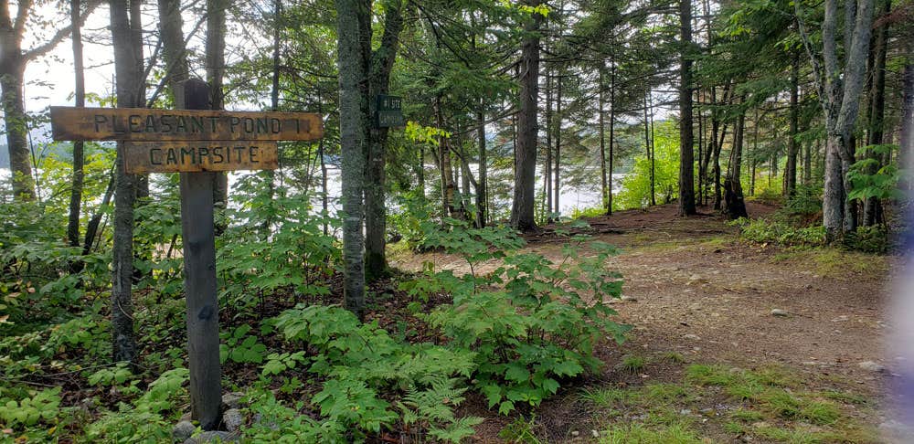 Big Pleasant Pond Camping | Frenchtown, ME