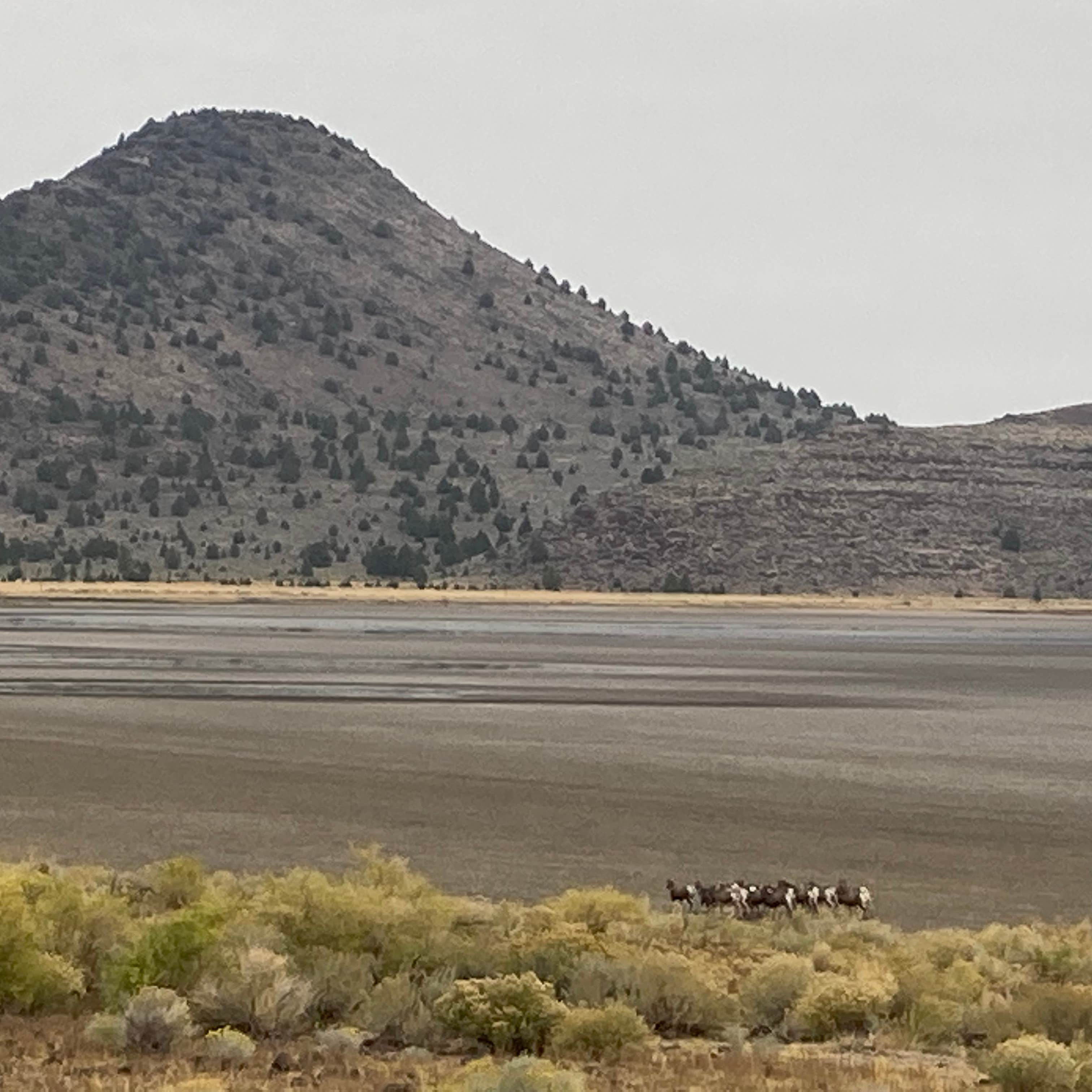 Hogback Road Dispersed Camping | Adel, Oregon