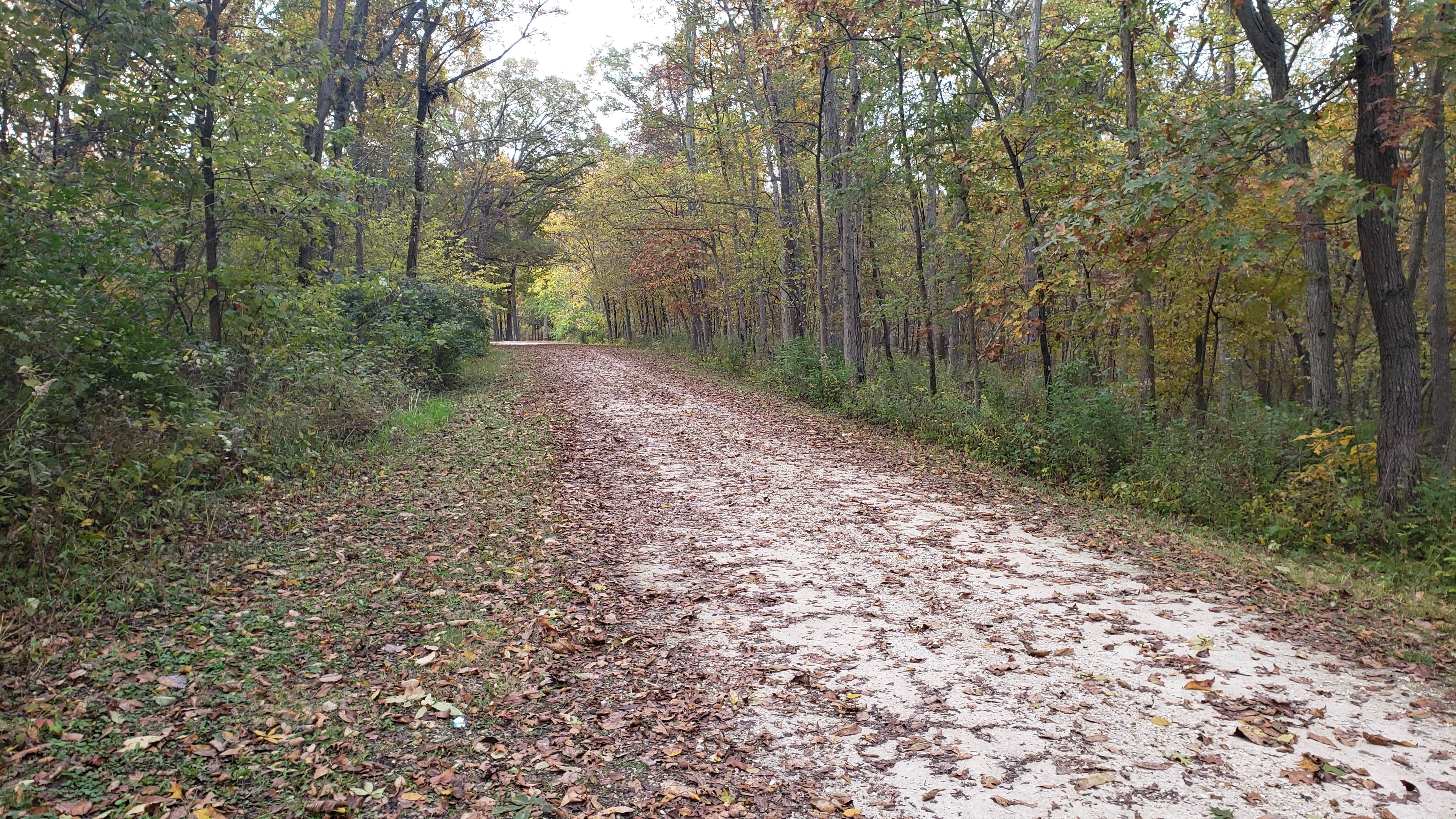Big Hollow Recreation Area Camping | Sperry, Iowa