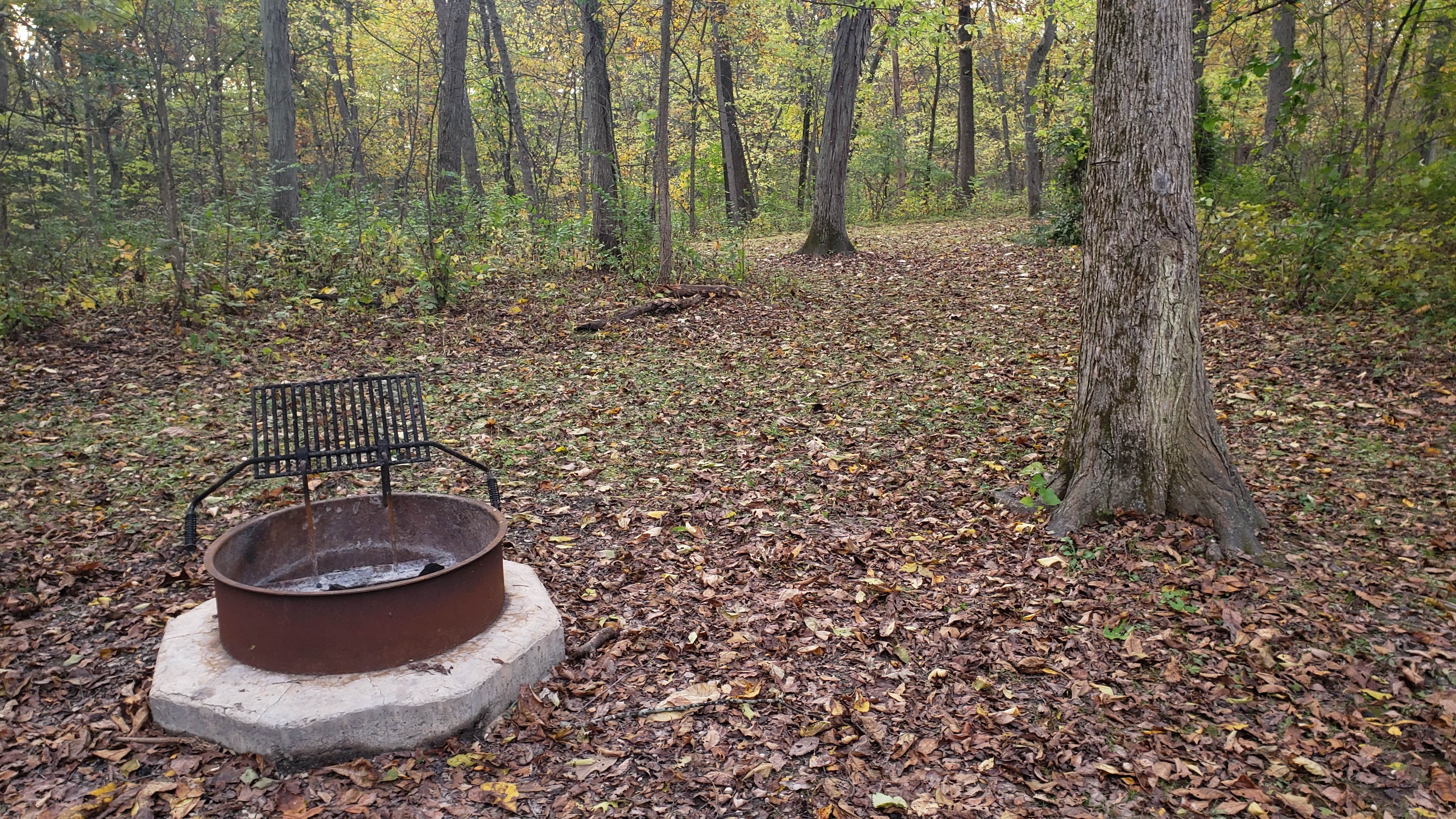 Big Hollow Recreation Area Camping | Sperry, Iowa
