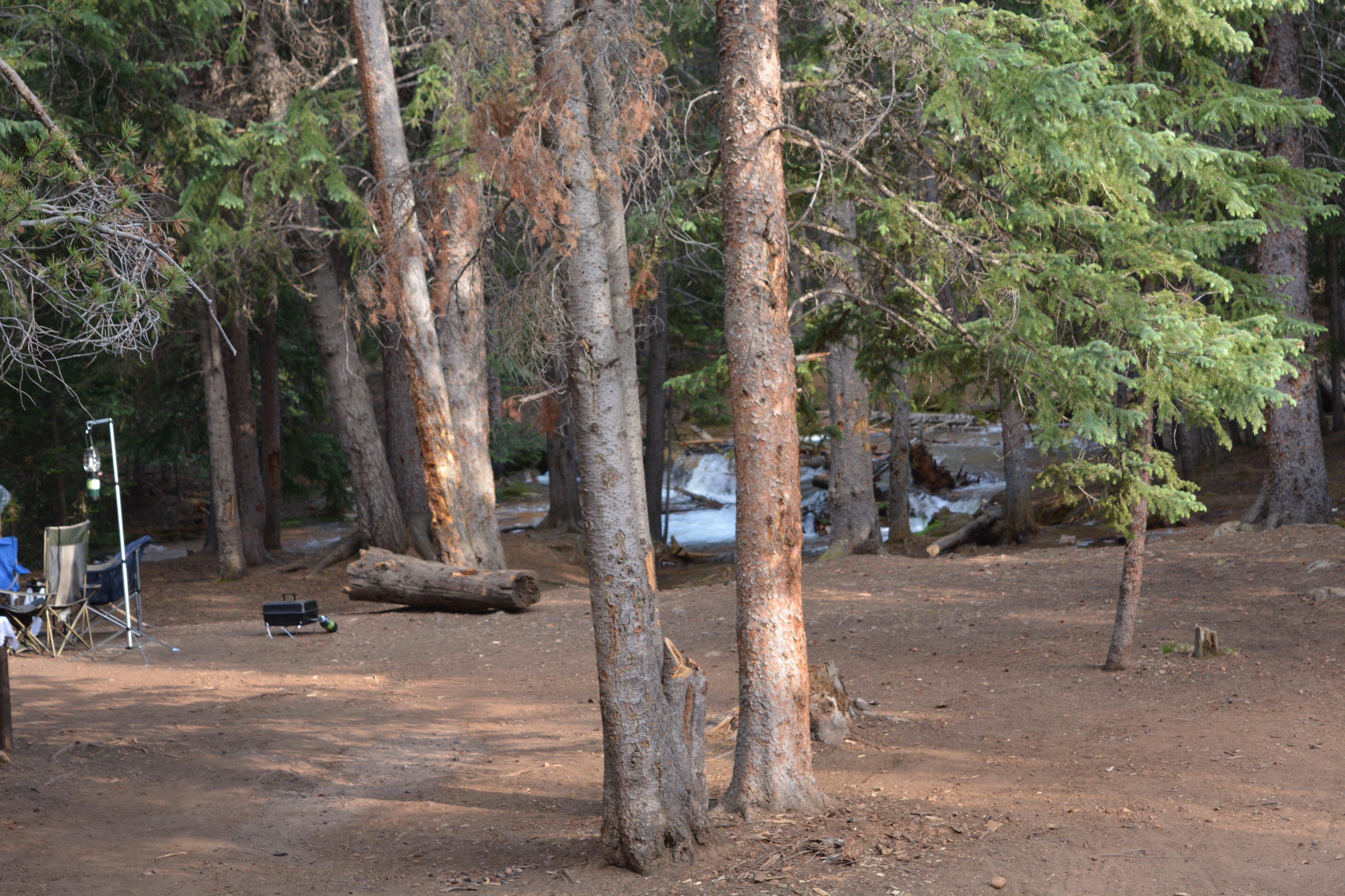 Handcart Campground | Grant, CO
