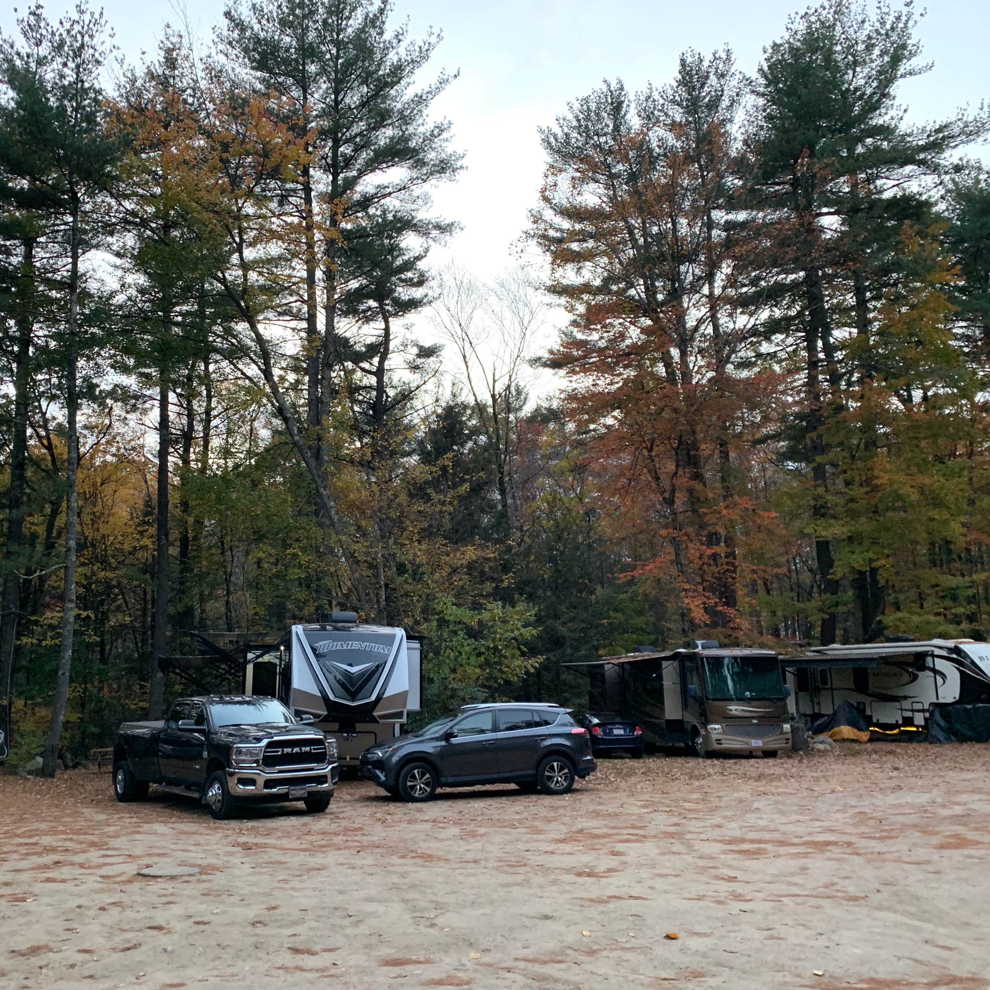 The Pines Camping Area Camping | The Dyrt