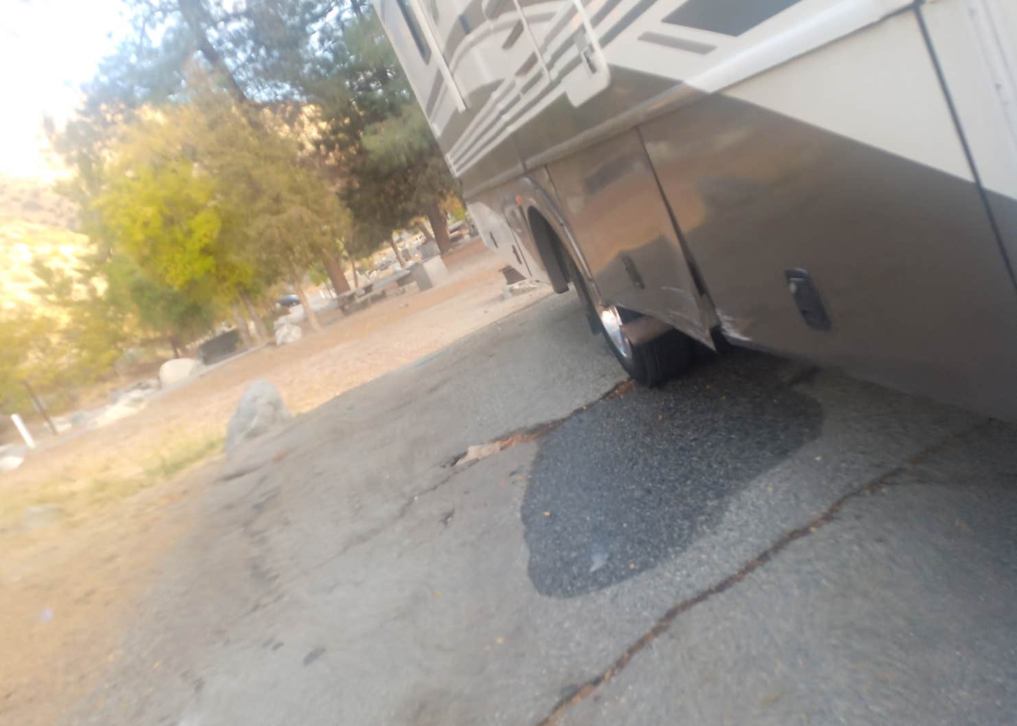 Olive Dell Ranch Camping | The Dyrt