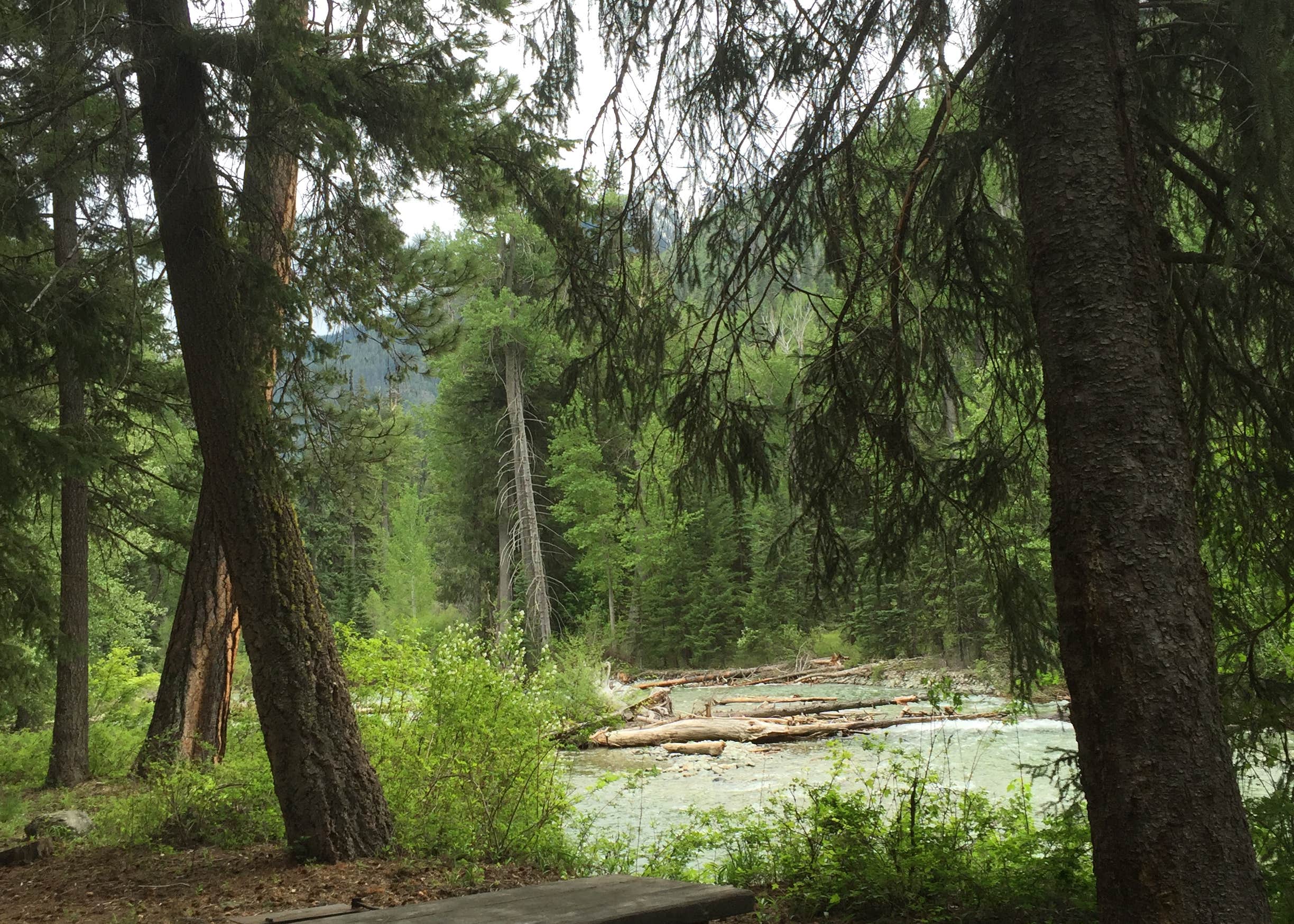 Poplar Flat Campground Camping | The Dyrt