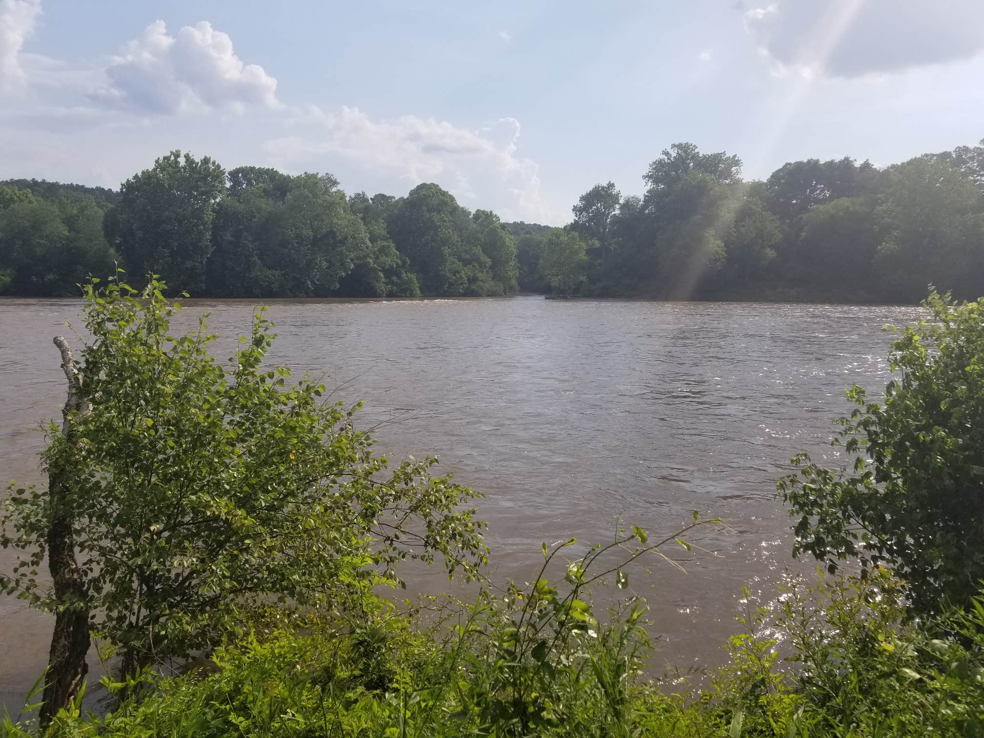 McIntosh Reserve Park Camping | Whitesburg, GA