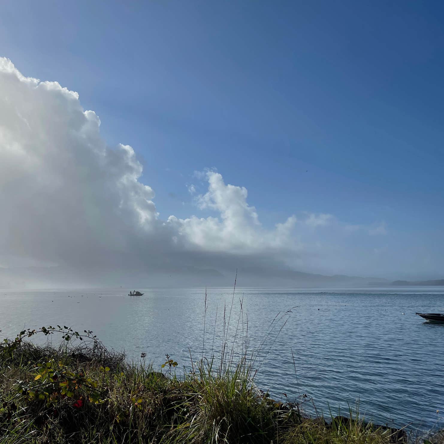 Netarts Bay RV Park & Marina | Netarts, Oregon