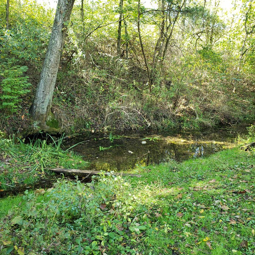 Gibson Spring Back Country Site - Fort Crowder Conservation Area ...