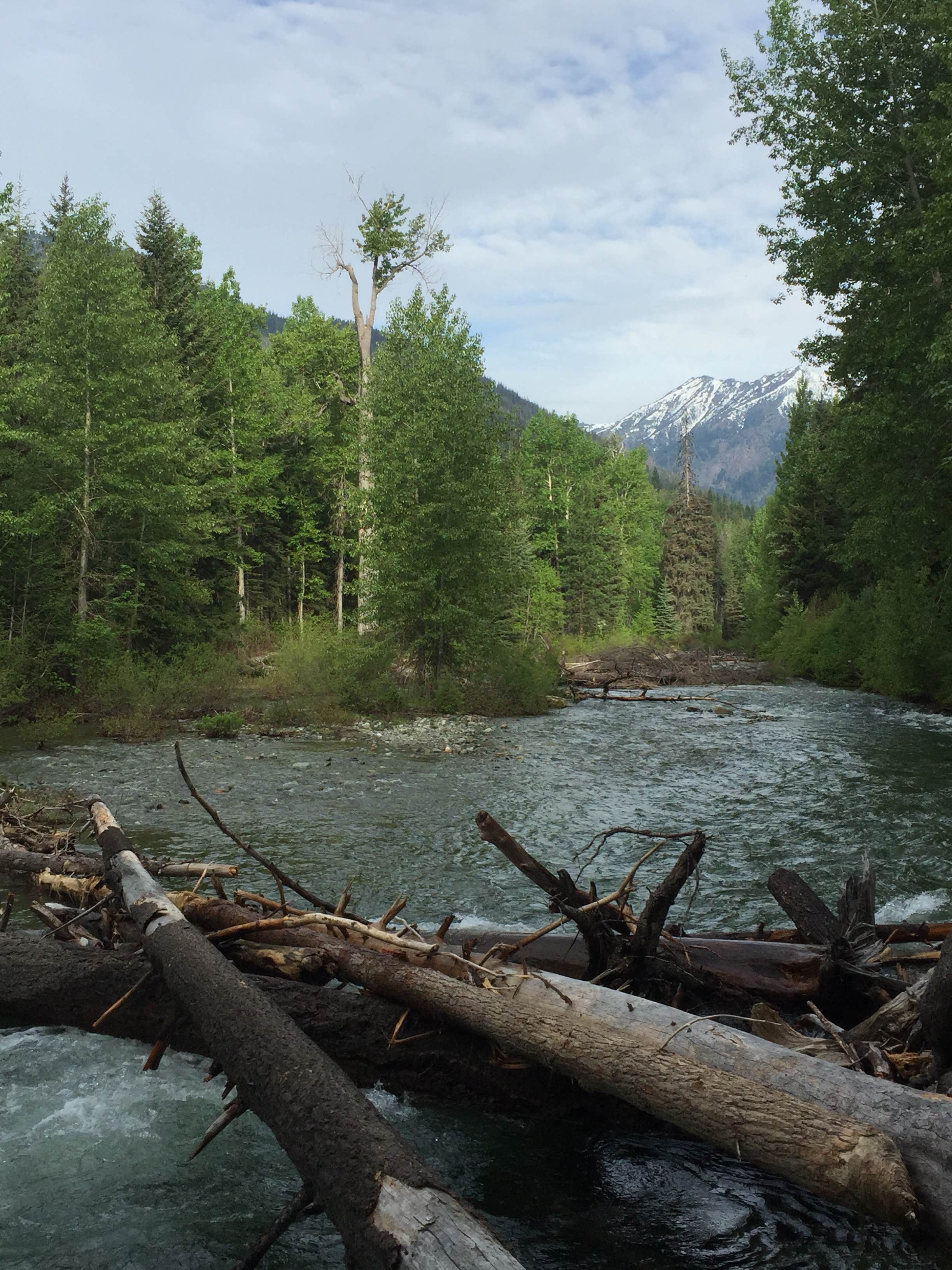 Poplar Flat Campground Camping | The Dyrt