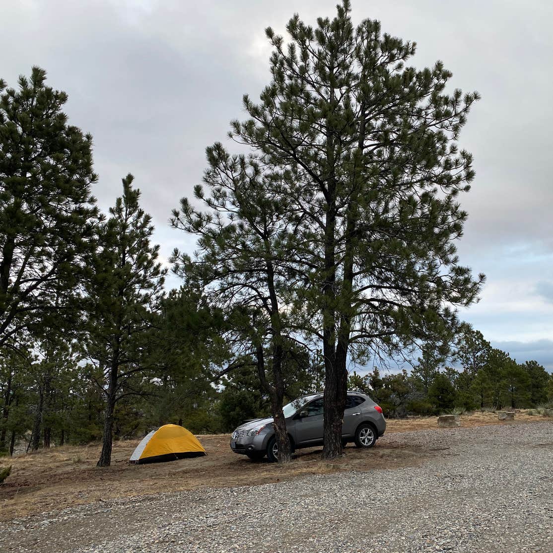 Acton Recreation Area Camping | The Dyrt