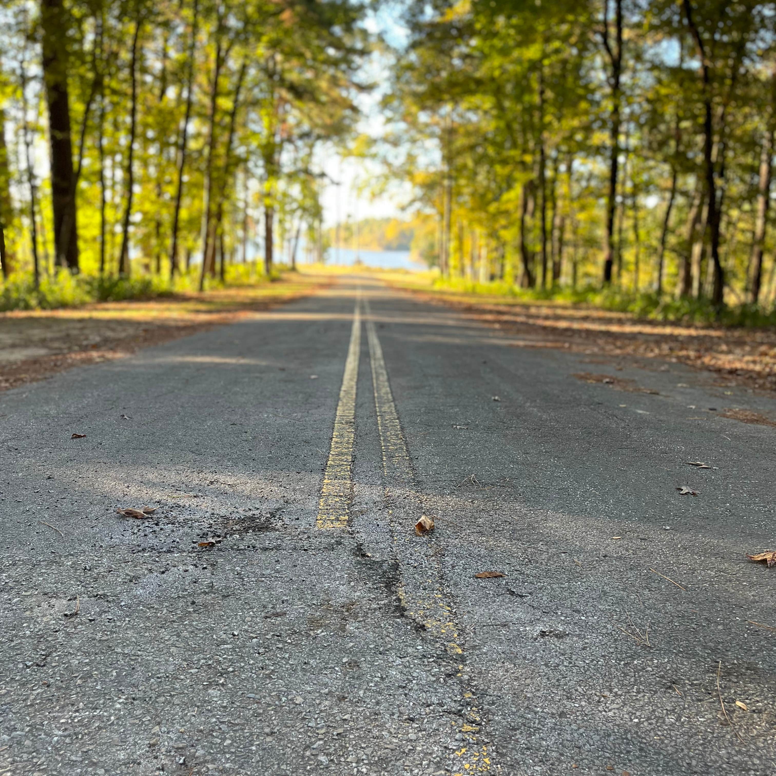 Sabine National Forest Ragtown Camping | Zwolle, Louisiana