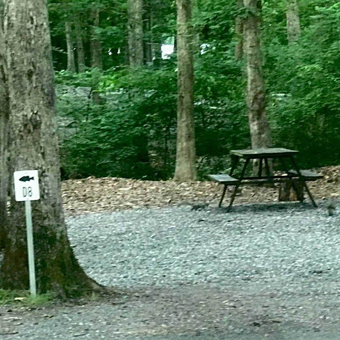 Christopher Run Campground | Mineral, VA