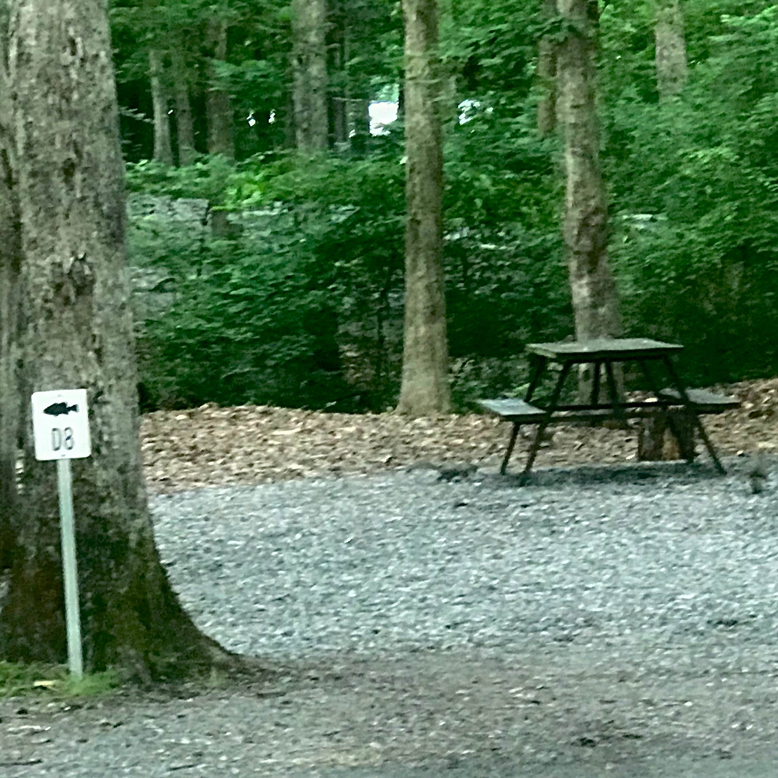 Christopher Run Campground | Mineral, Virginia