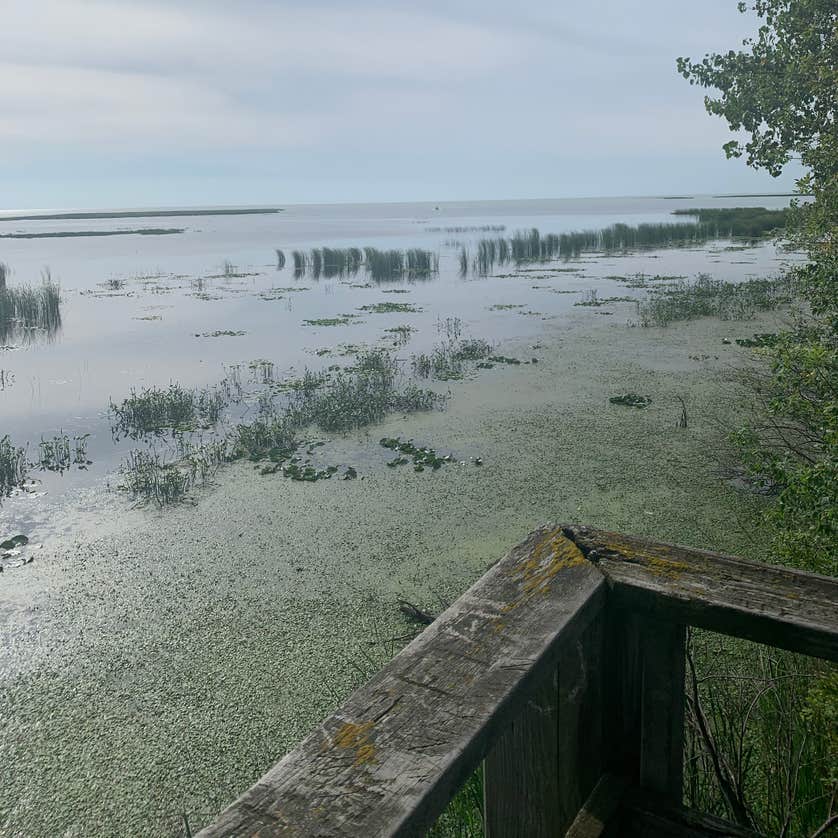 Pinconning County Park Camping | The Dyrt