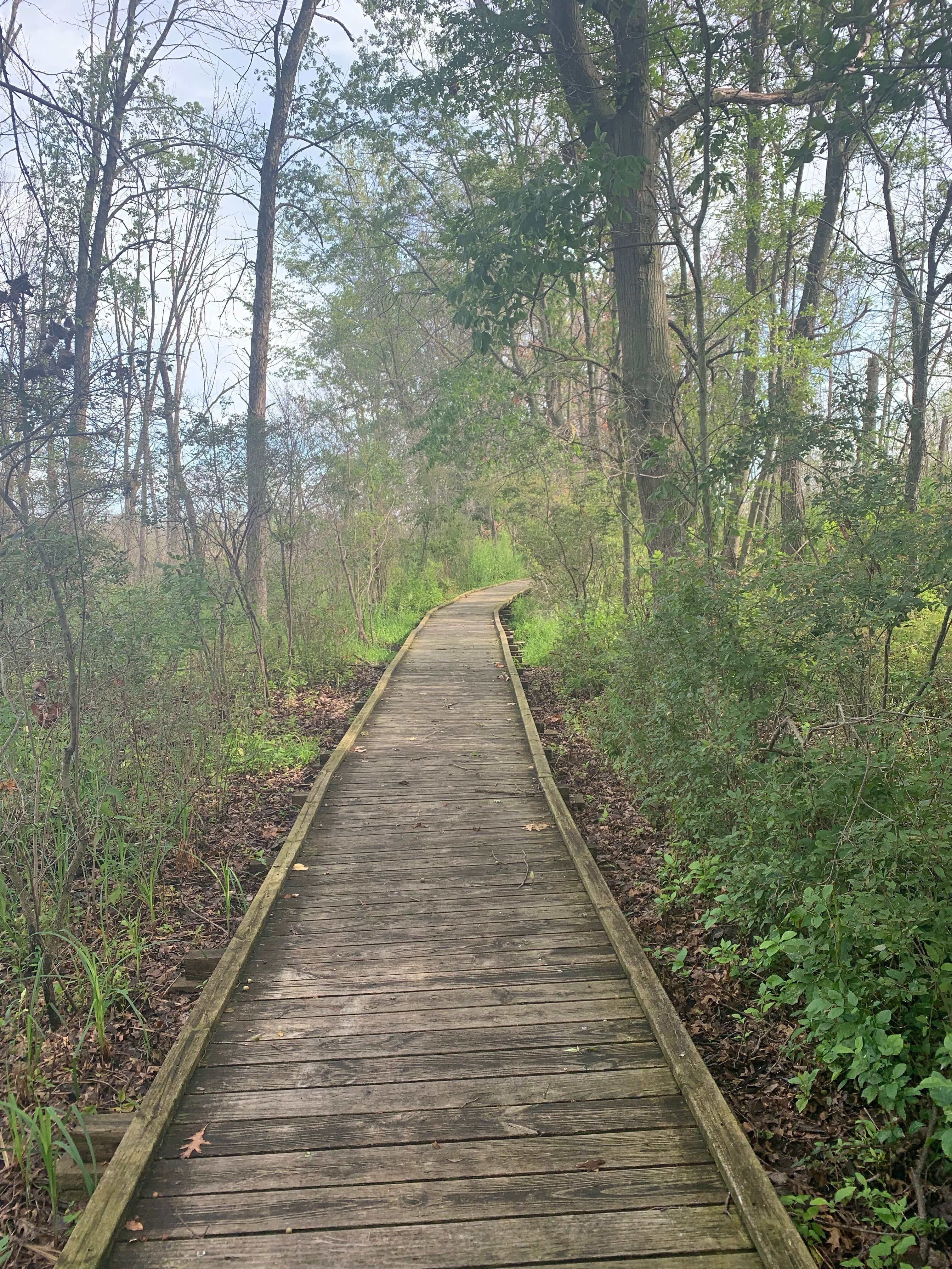 Pinconning County Park Camping | Pinconning, Michigan