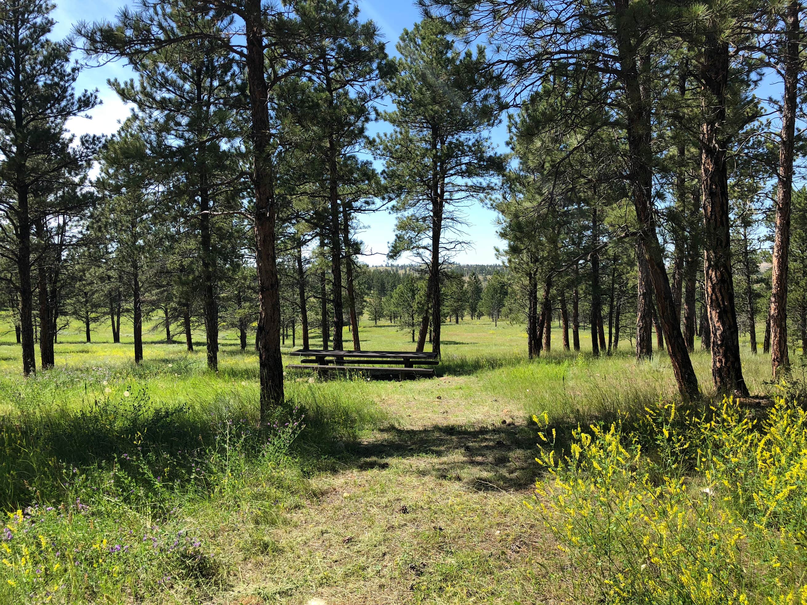 Red Shale Campground & Geocache Site Camping | The Dyrt