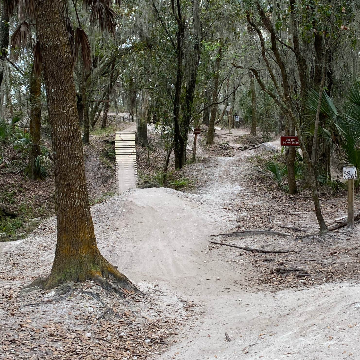 Alafia River State Park Campground | Lithia, Florida