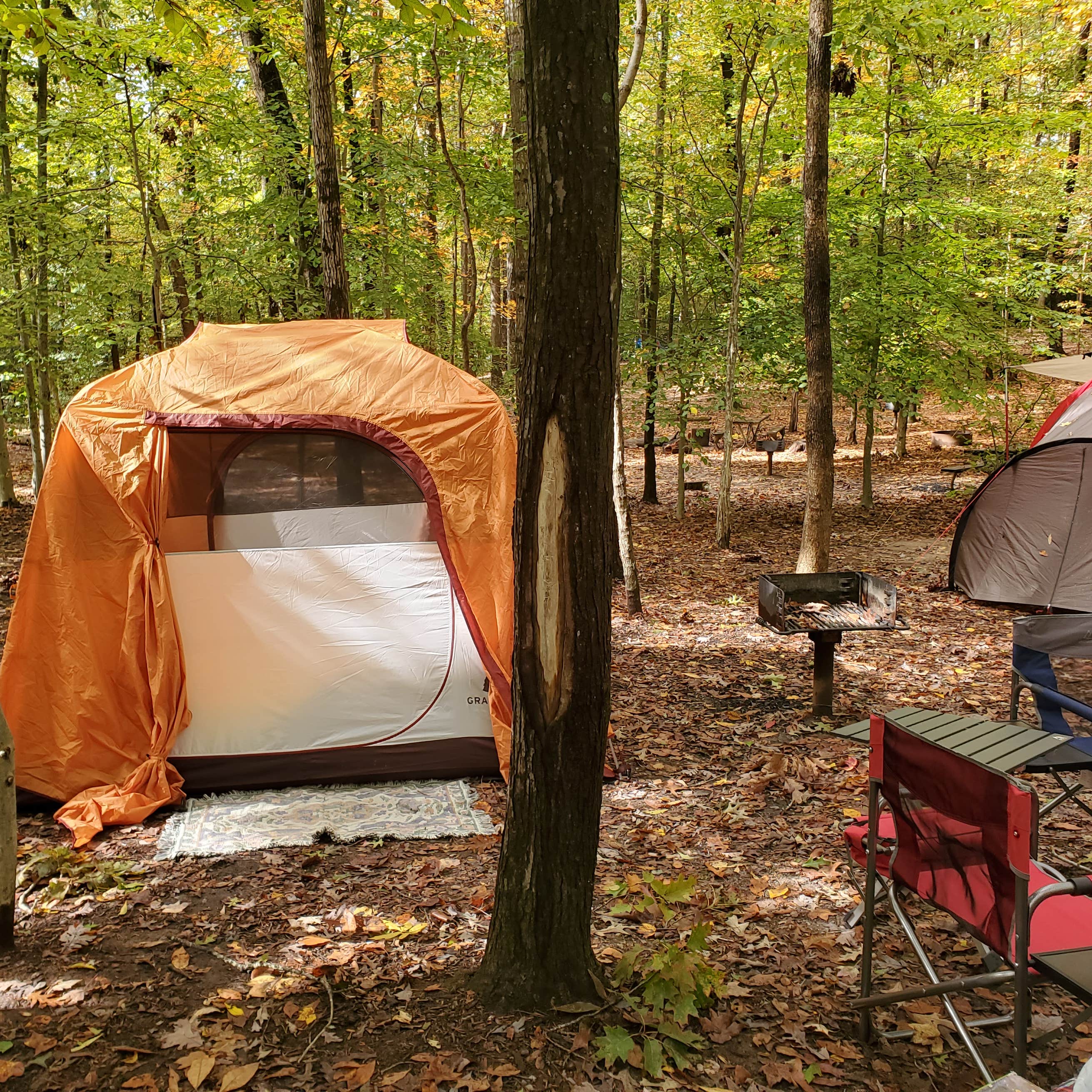 Burke Lake Park Campground Camping | The Dyrt
