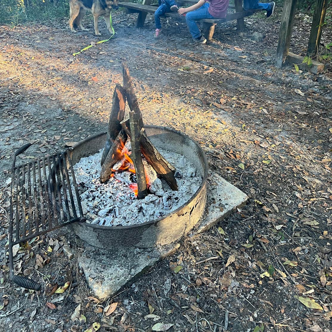 Black Creek Ravine Camping | Middleburg, Florida