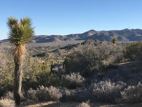 Black Rock Campground | The Dyrt