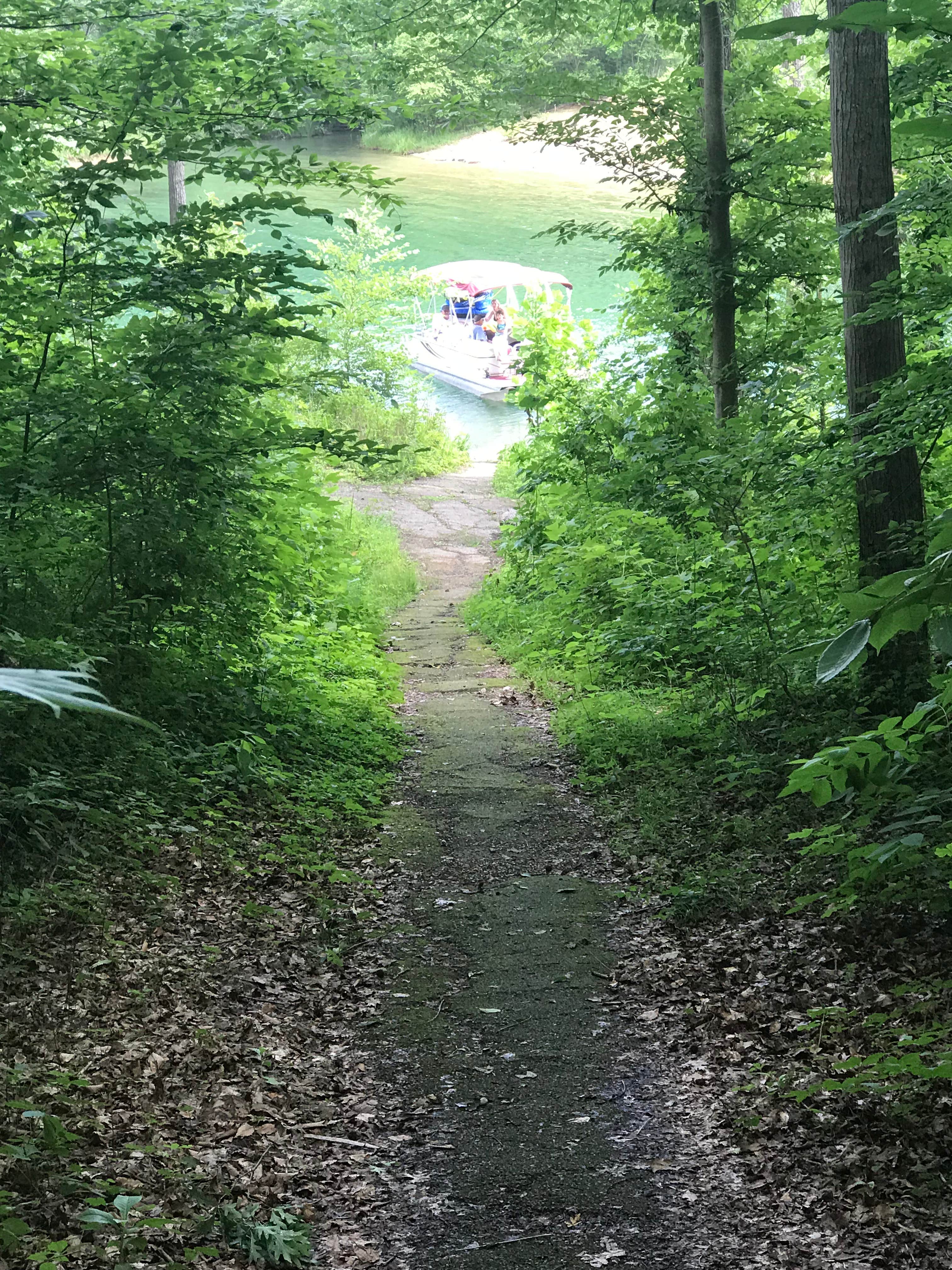 Twin Knobs Recreation Area Camping | Morehead, KY