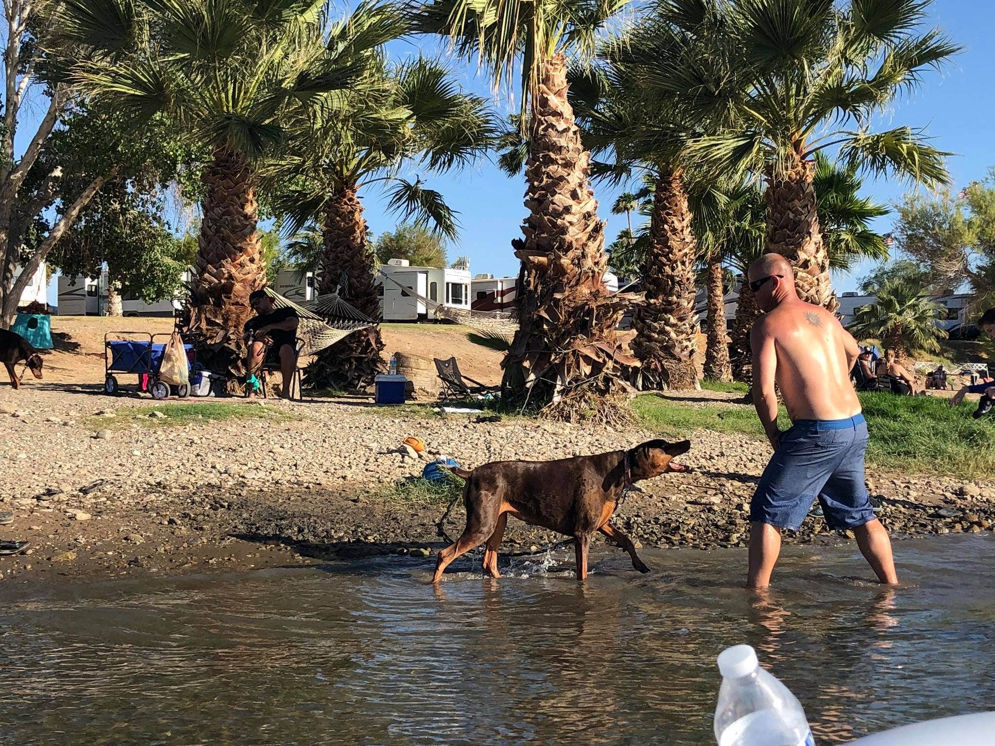 Arizona Oasis RV Resort | Blythe, California