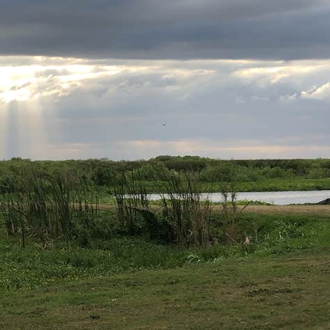 Torry Island Campground Camping | The Dyrt