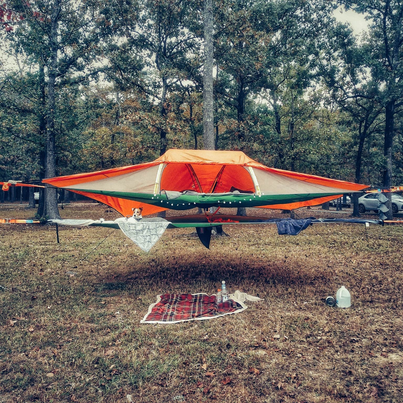 Devils Fork | The Dyrt