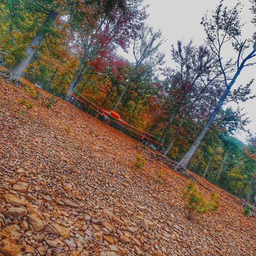 Devils Fork | The Dyrt