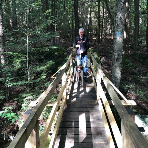 Elmore State Park Campground | Elmore, VT